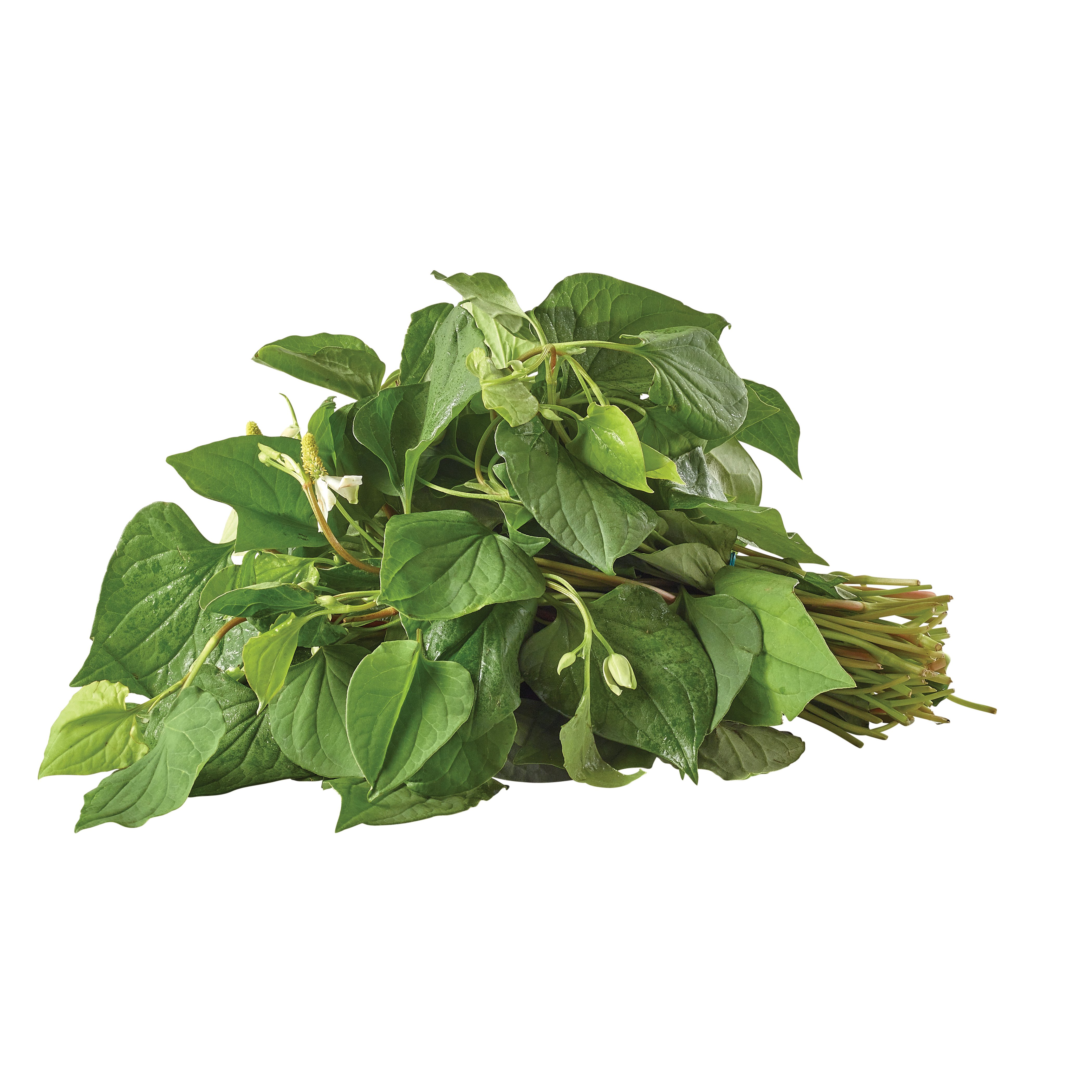 Fresh Fish Mint - Shop Specialty & Asian at H-E-B