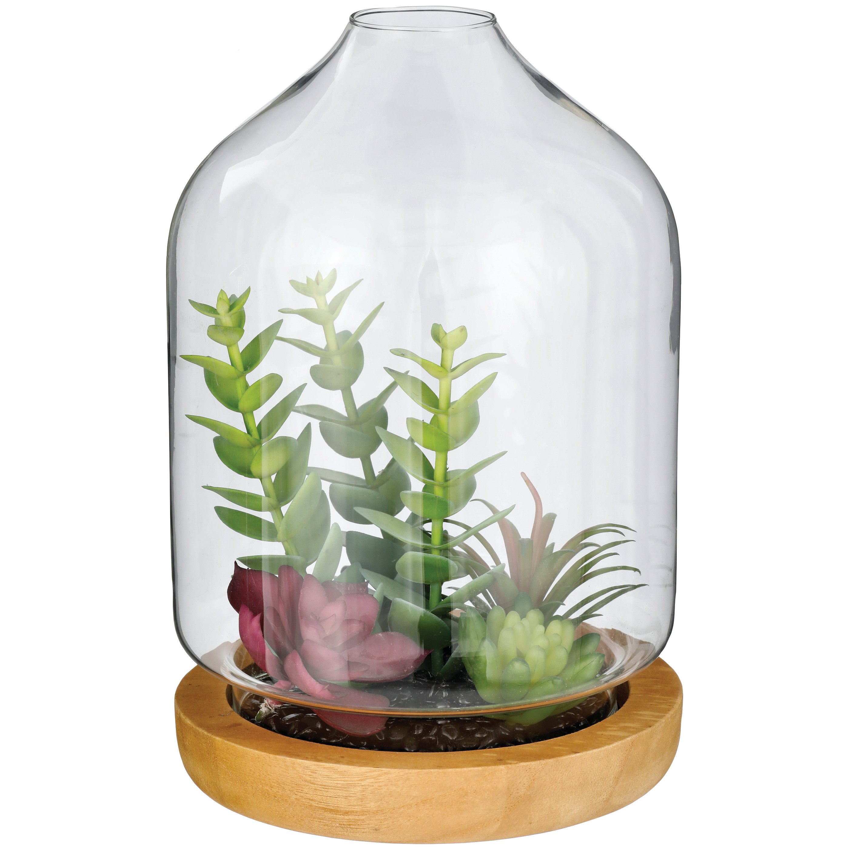 Haven + Key Mixed Faux Succulents - Tall Glass Vase - Shop Seasonal ...