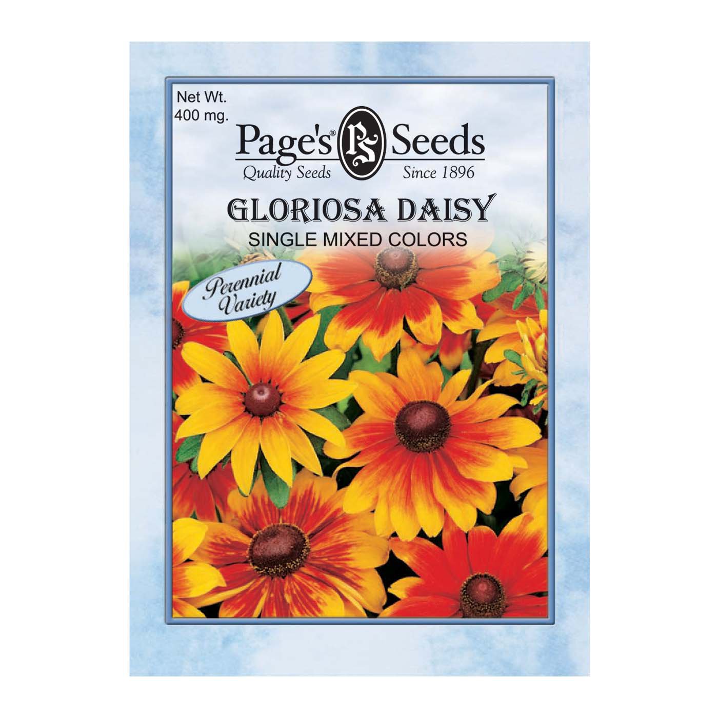 Page's Seeds Single Mix Colors Gloriosa Daisy Flower Seed Packet - Shop ...