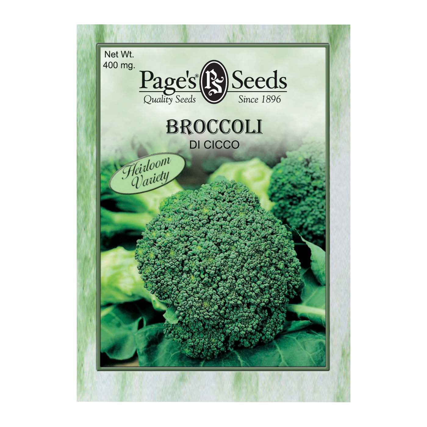 Page's Seeds Di Cicco Broccoli Seed Packet - Shop Seeds at H-E-B