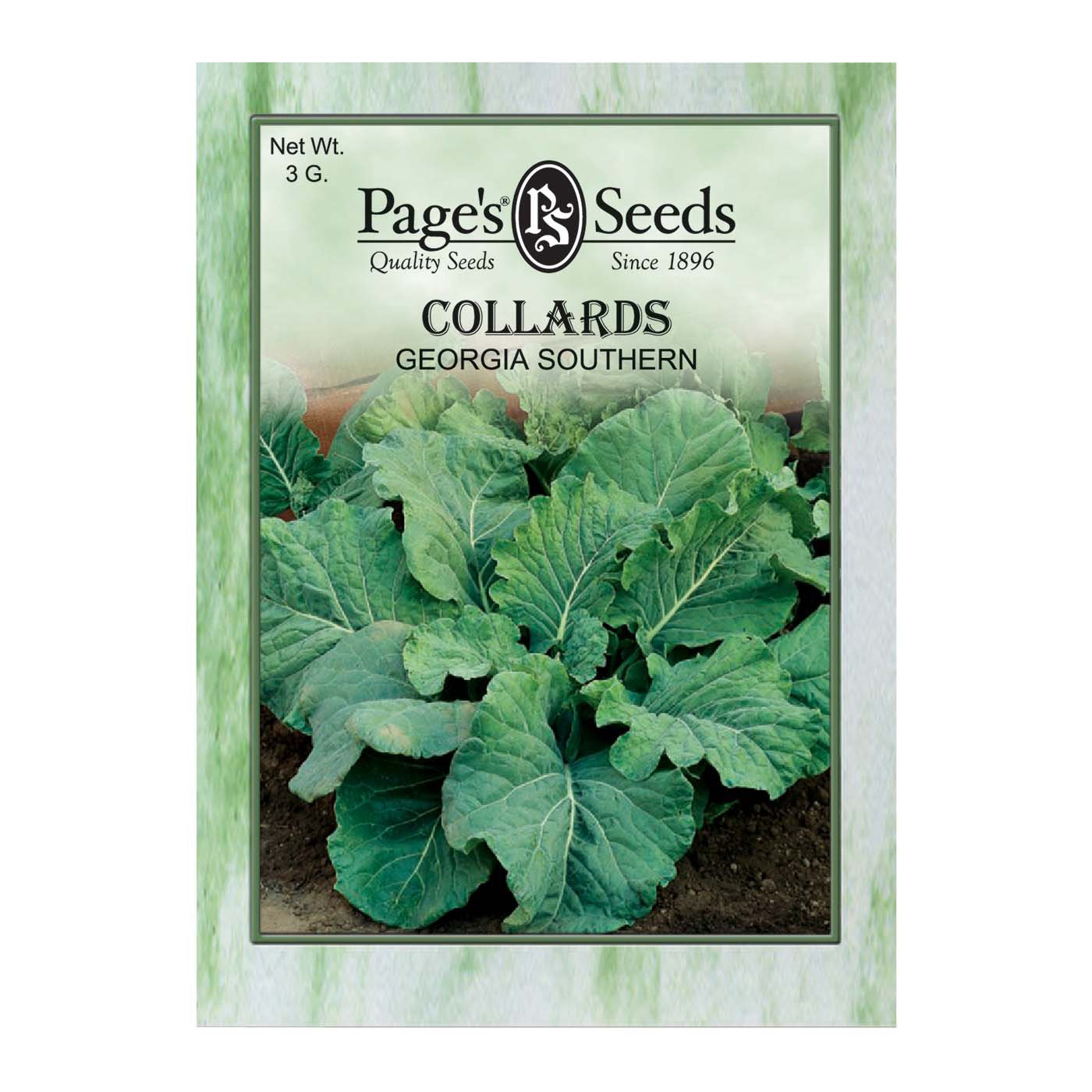 Page's Seeds Georgia Southern Collards Seed Packet - Shop Seeds at H-E-B