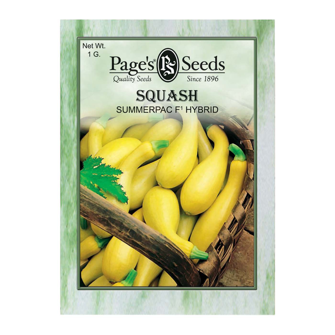 Page's Seeds Summerpac F1 Hybrid Squash Seed Packet - Shop Seeds at H-E-B