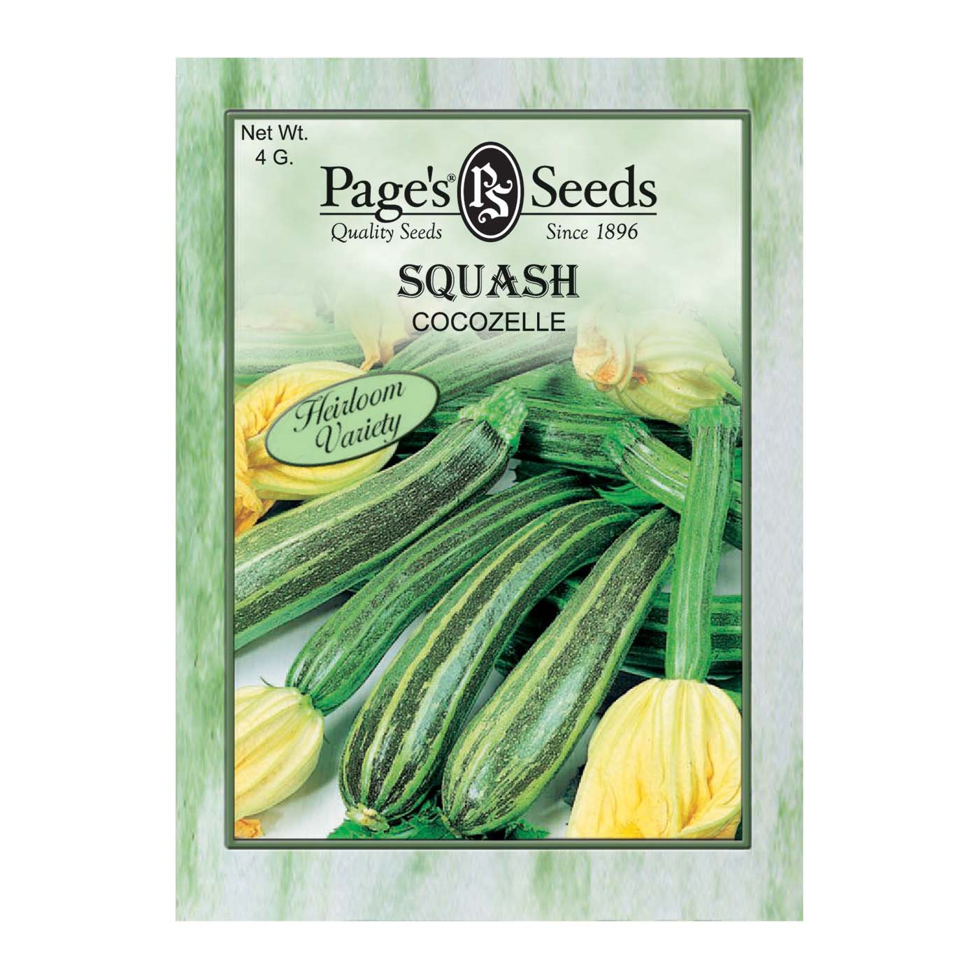 Page's Seeds Cocozelle Squash Seed Packet - Shop Patio & Outdoor at H-E-B