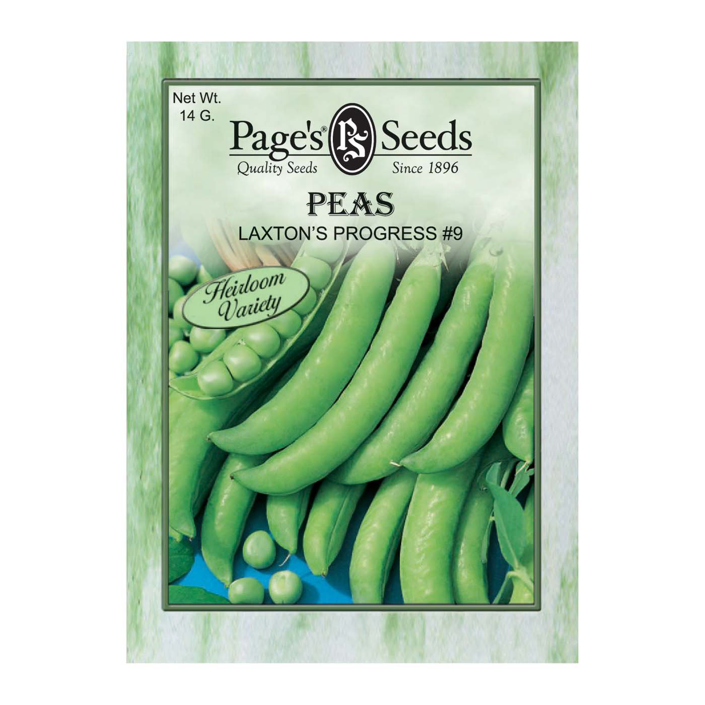 Page's Seeds Laxton's Progress #9 Peas Seed Packet - Shop Seeds at H-E-B