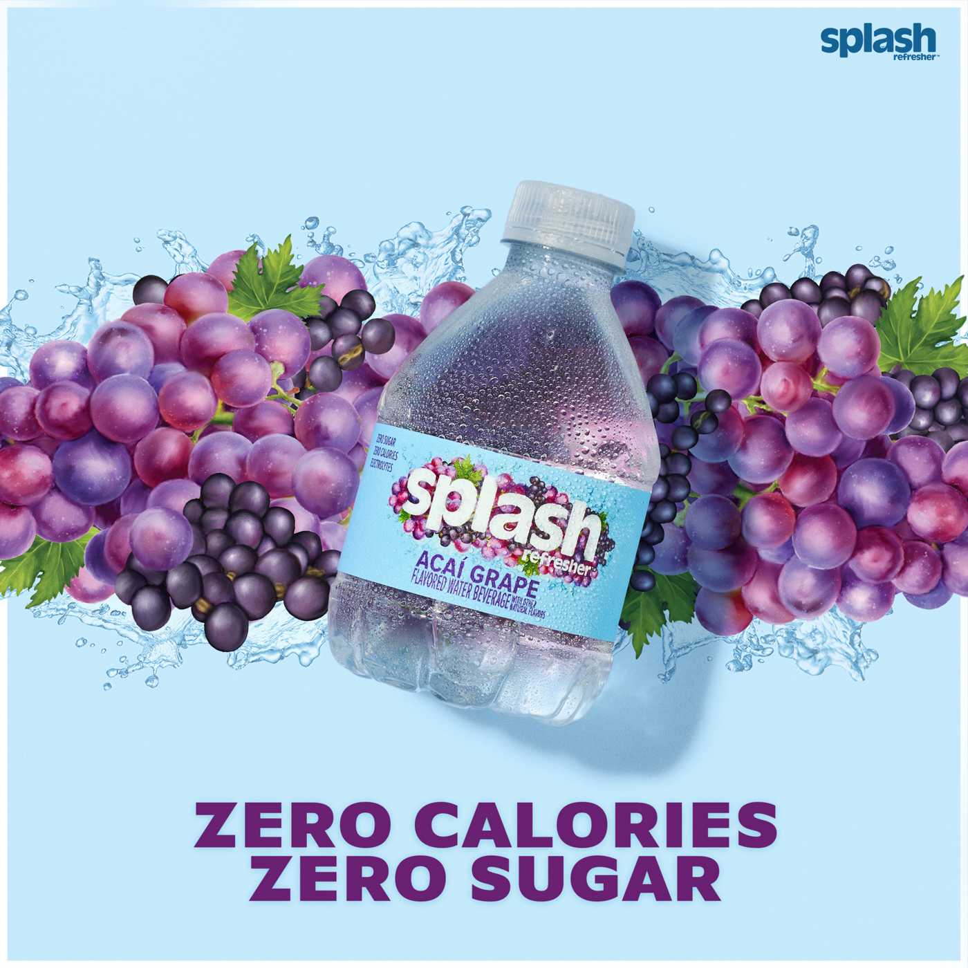 SPLASH Acai Grape Flavor Water Beverage 8 oz Bottles - Shop Water at H-E-B