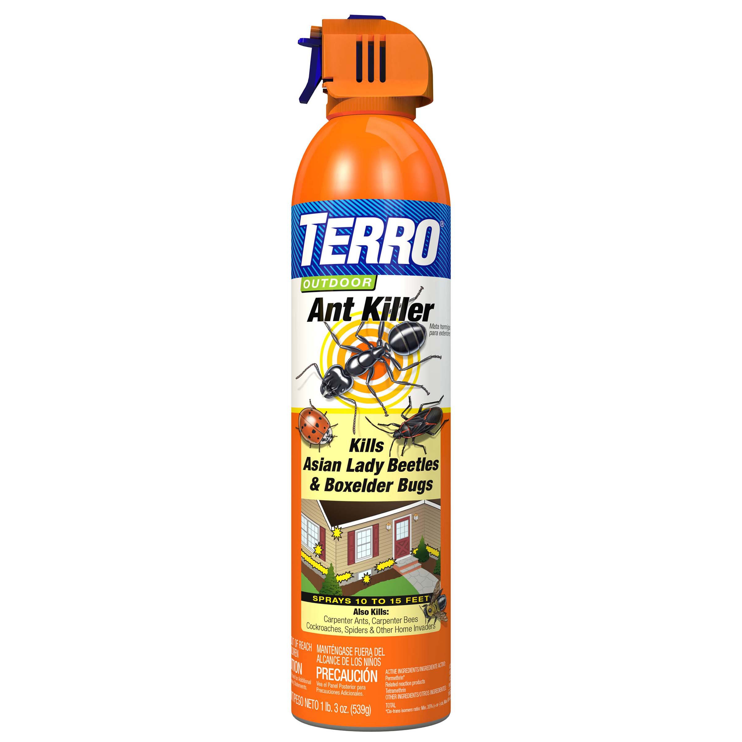 TERRO Outdoor Ant Killer Spray - Shop Insect killers at H-E-B