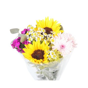 Flowers & arrangements - Shop H-E-B Everyday Low Prices