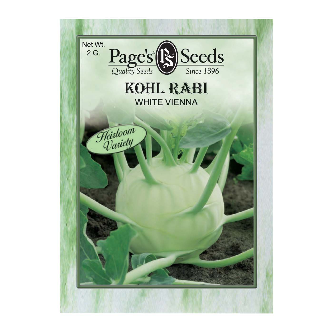 Page's Seeds White Vienna Kohl Rabi Seed Packet - Shop Seeds at H-E-B