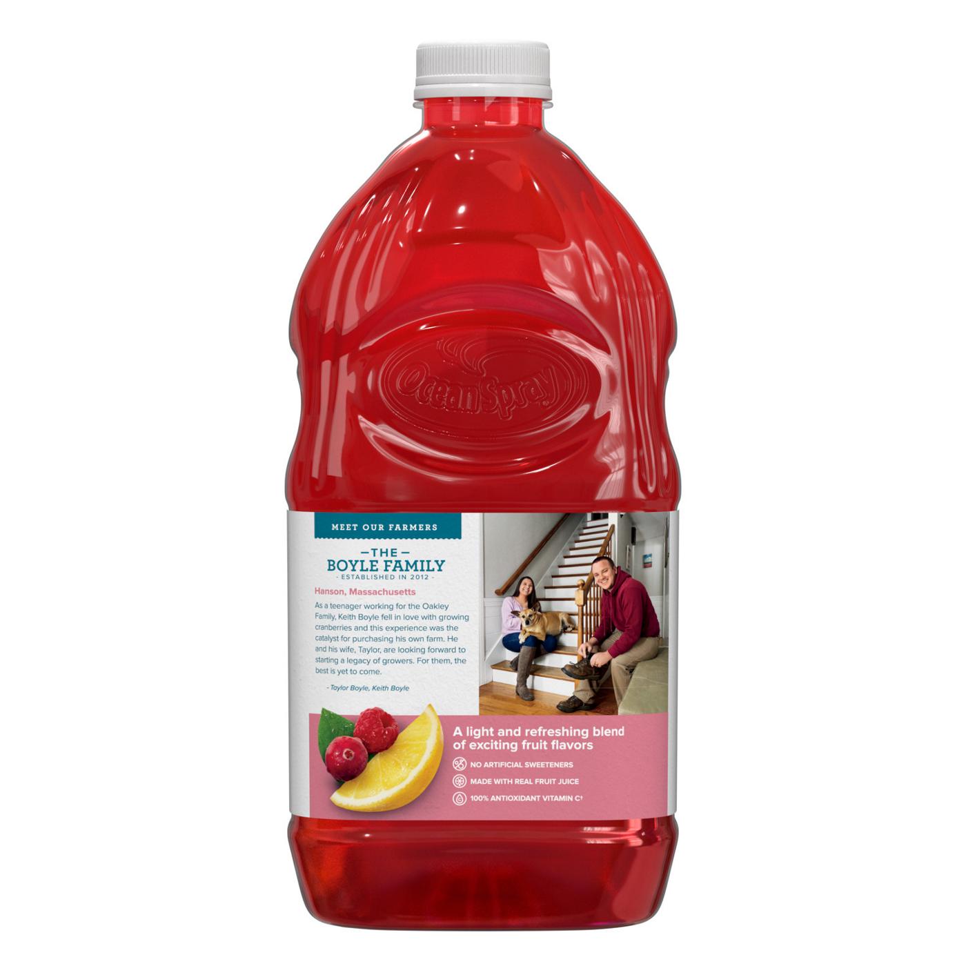 Ocean Spray Frutas Frescas Cranberry Lemon Raspberry Juice Drink - Shop ...