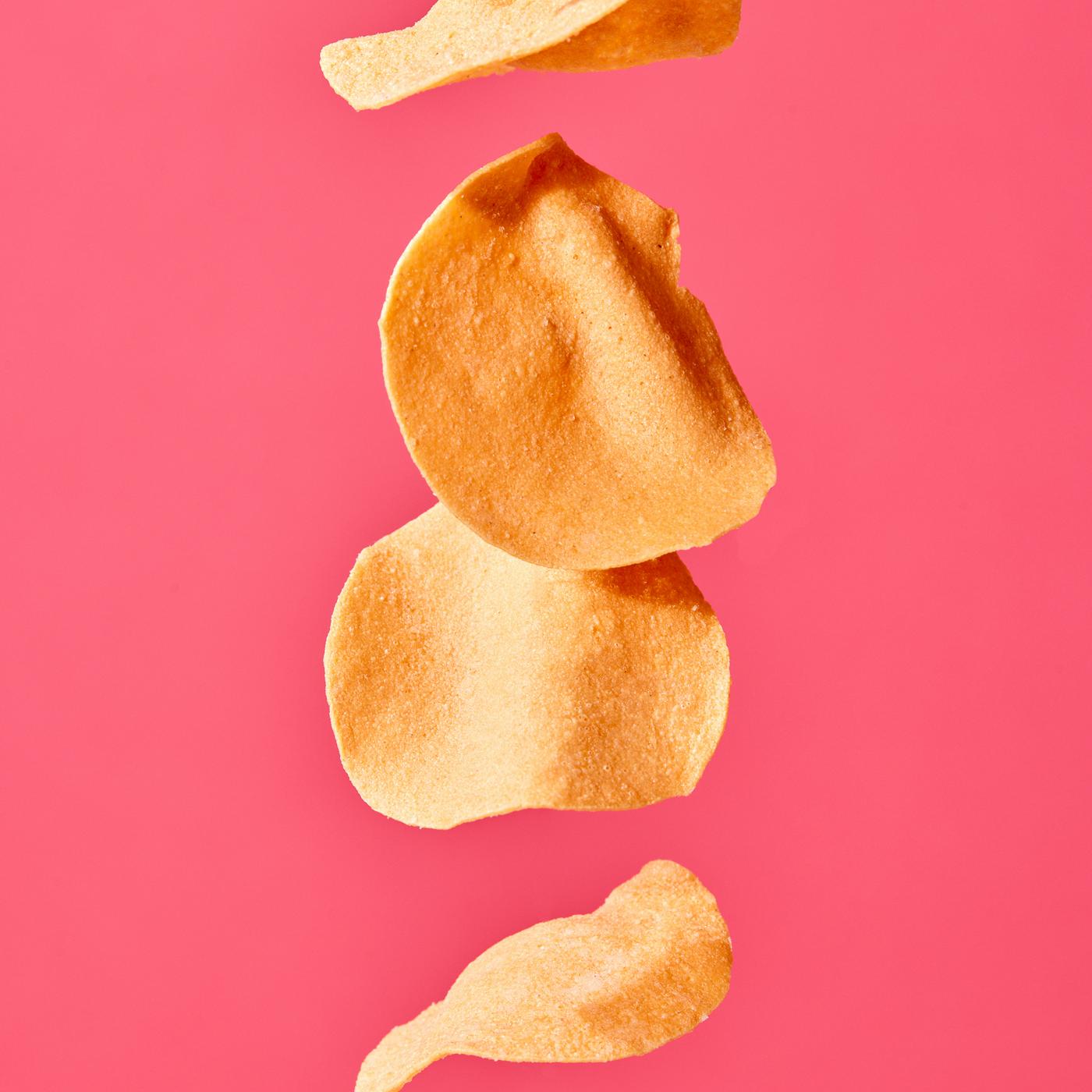 WILDE 10g Protein Chicken Chips - Himalayan Pink Salt - Shop Chips at H-E-B