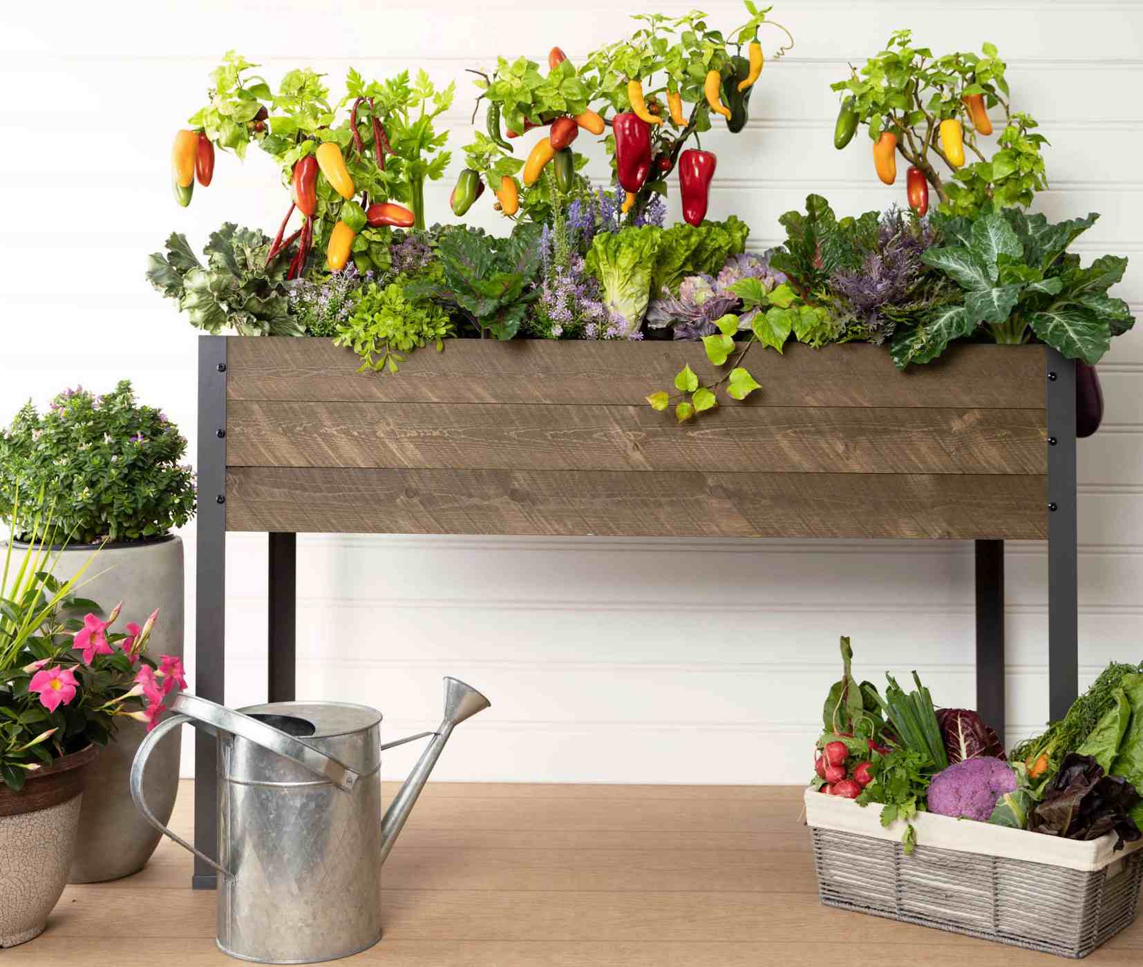 CedarCraft Elevated Spruce Wooden Planter - Shop Pots & planters at H-E-B