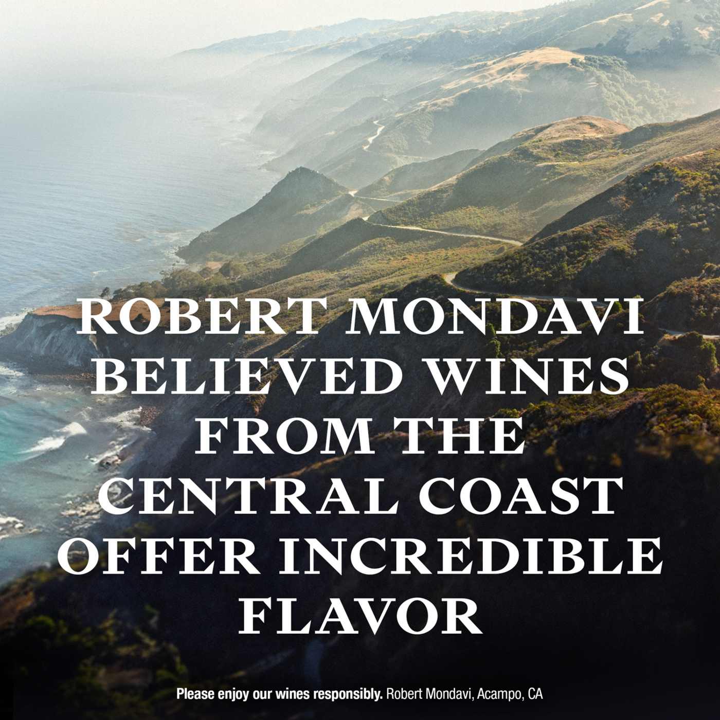 Vint Central Coast Cabernet Sauvignon Red Wine 750 mL Bottle - Shop ...