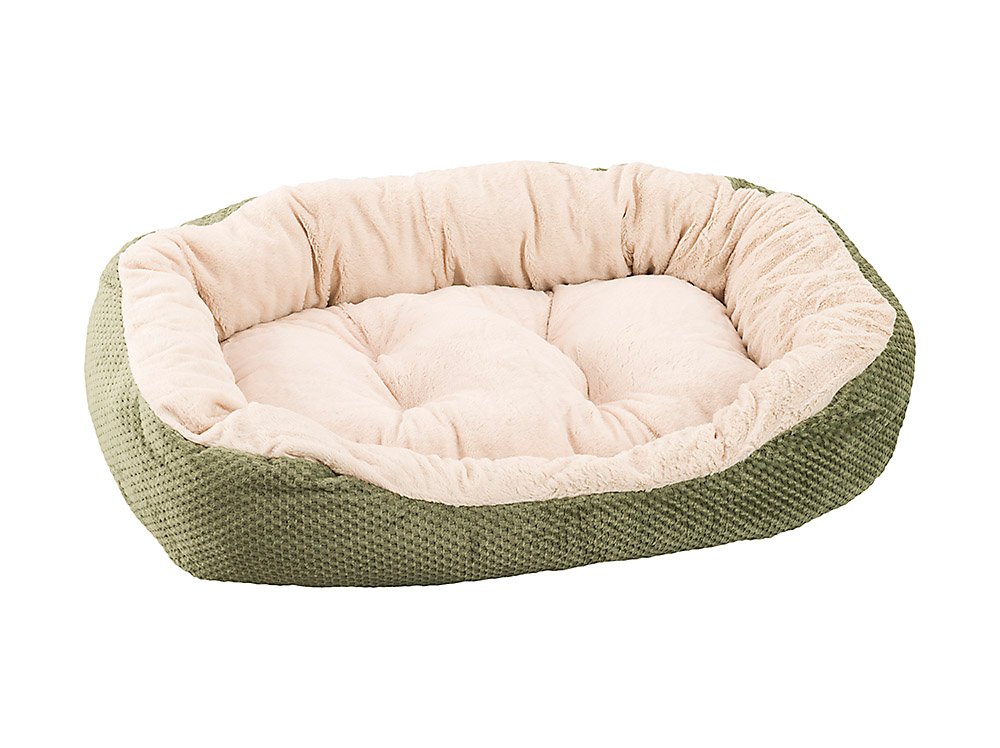 Sleep Zone Sage Napper Pet Bed, 31"x26" - Shop Beds at H-E-B
