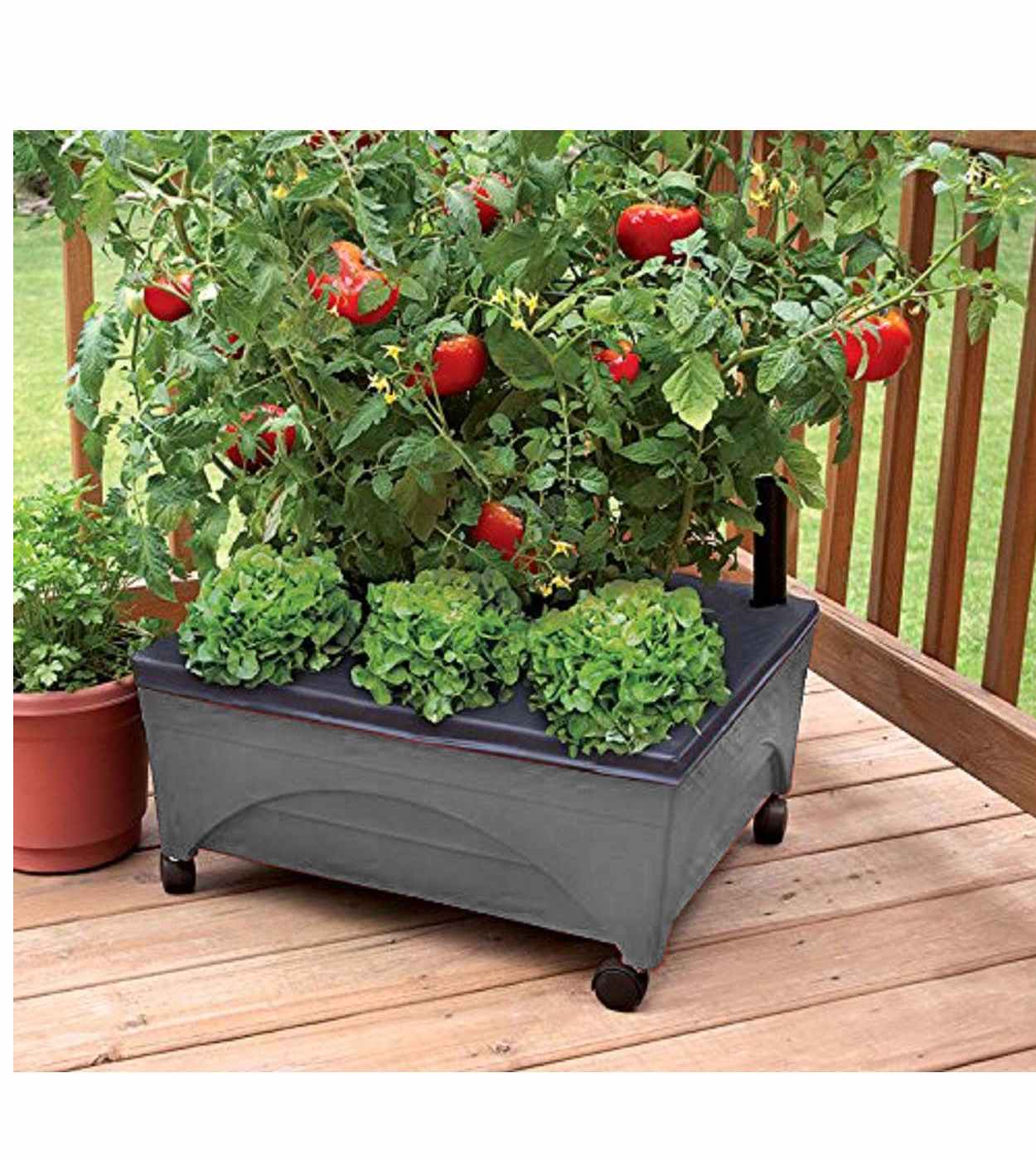 City Pickers Slate Gray Raised Grow Bed - Shop Pots & planters at H-E-B