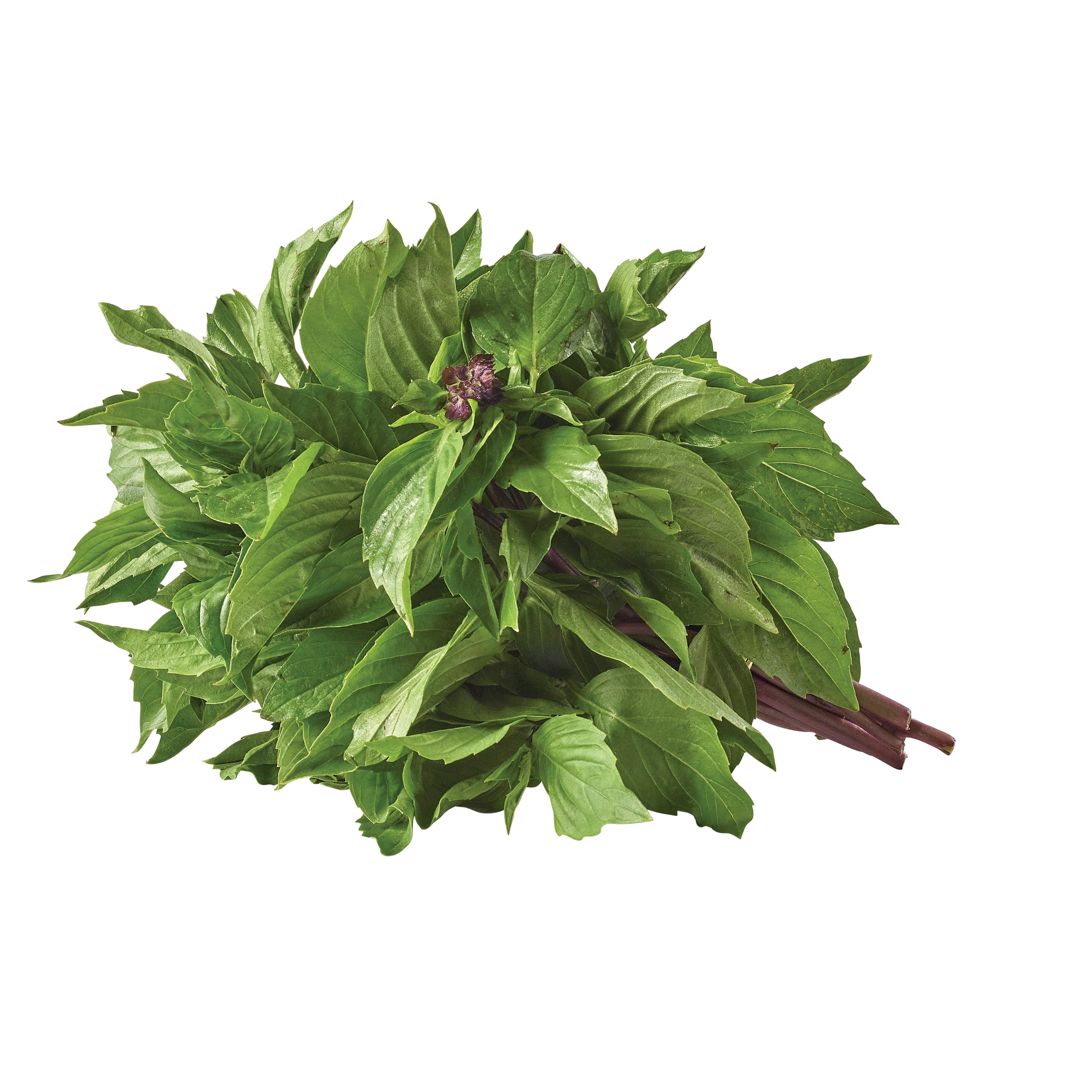 Goodness Gardens Thai Basil - Shop Specialty & Asian at H-E-B