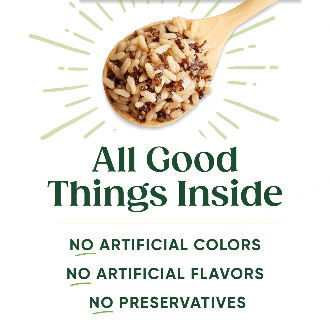 Seeds of Change Organic Brown Jasmine Rice with Cilantro Lime - Shop ...