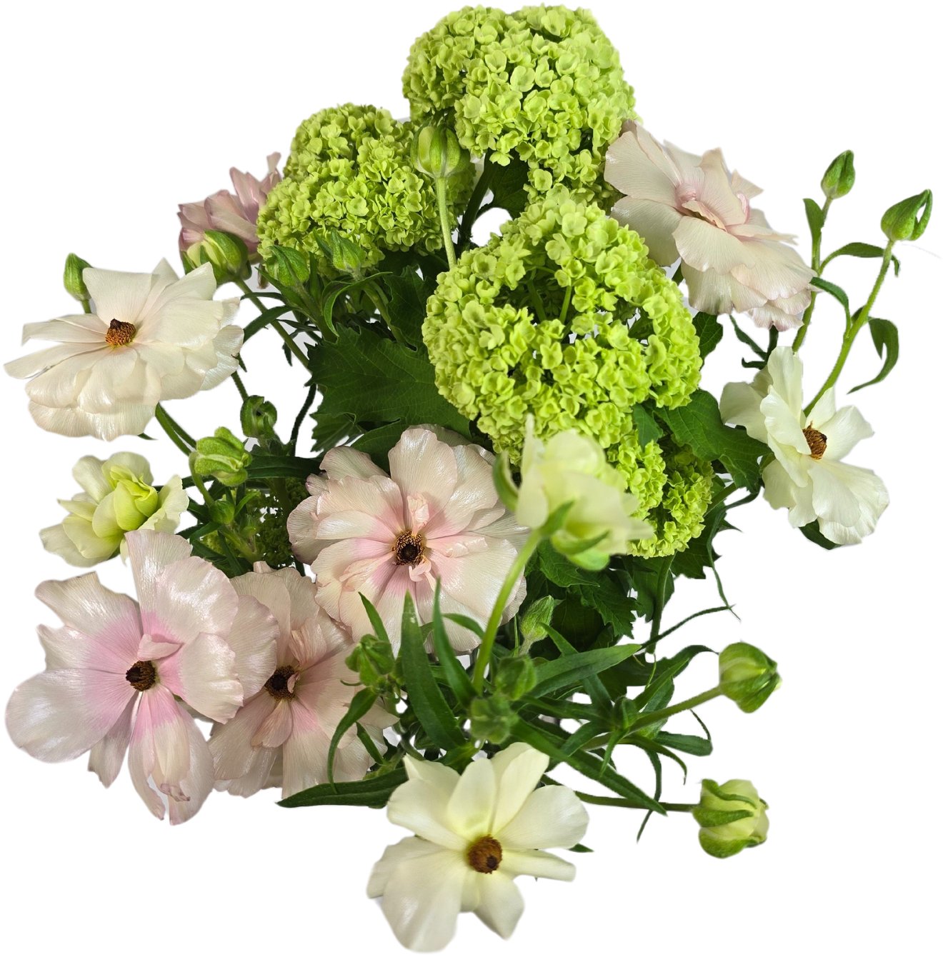 Central Market Snowball Butterfly Duo, ea | Central Market - Really ...