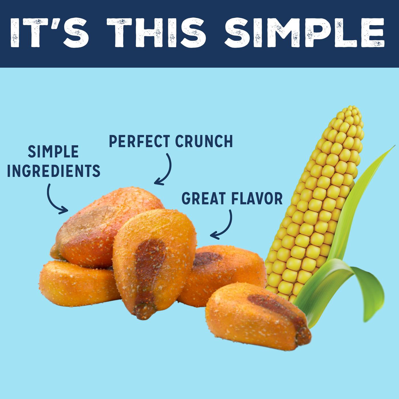 LOVE CORN Crunchy Corn Snack Packs - Sea Salt - Shop Nuts & seeds at H-E-B