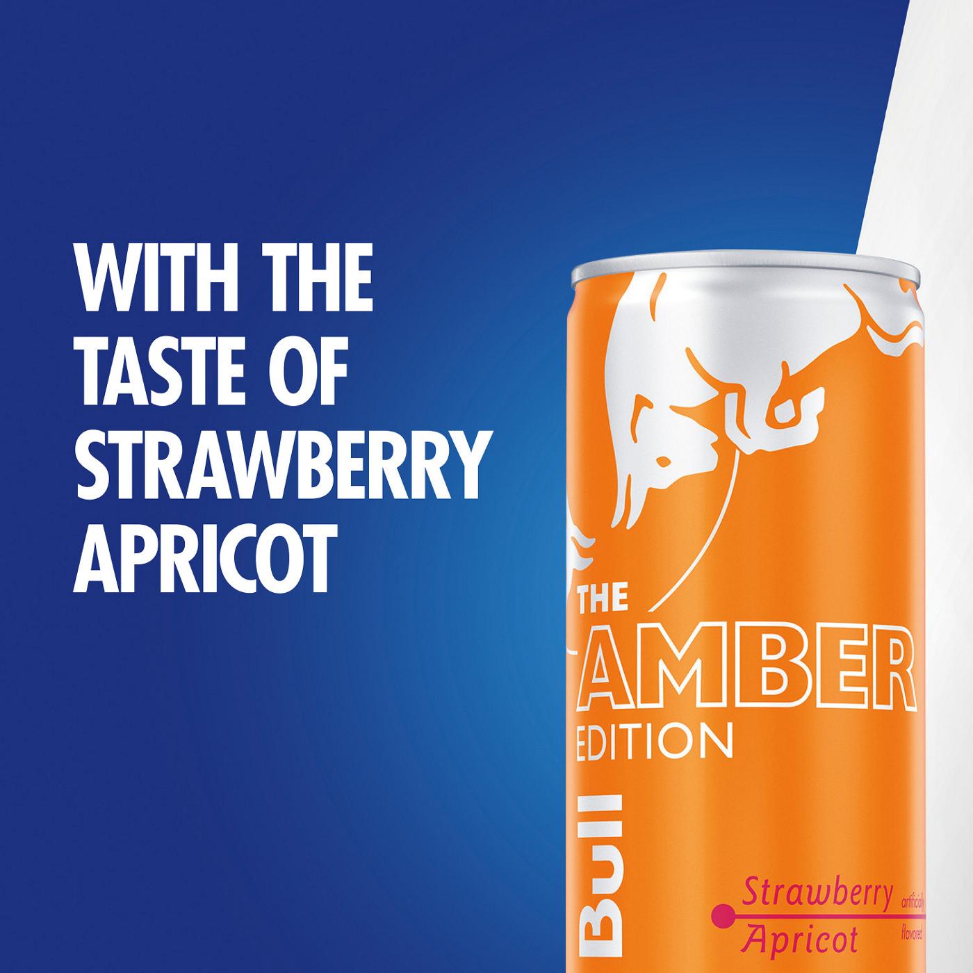 Red Bull Amber Edition Energy Drink - Strawberry Apricot - Shop Sports ...