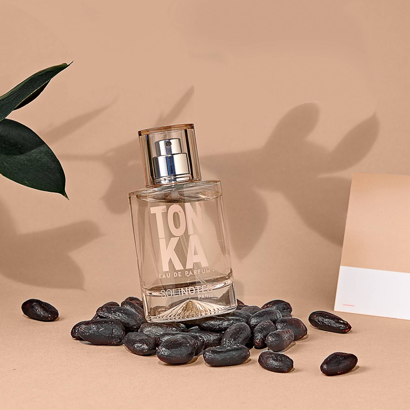 Solinotes Perfume - Tonka - Shop Fragrance at H-E-B