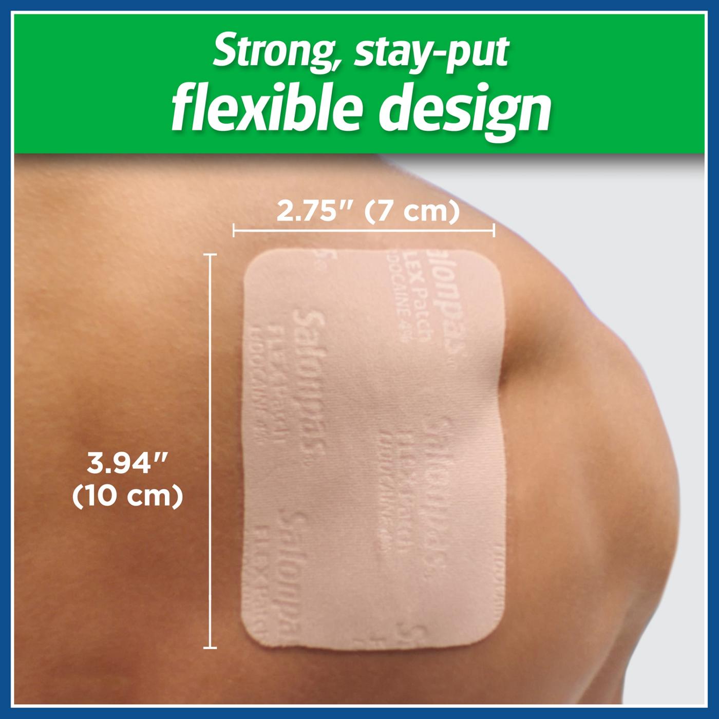 Salonpas Pain Relieving Flex Patch Maximum Strength - Shop Muscle ...
