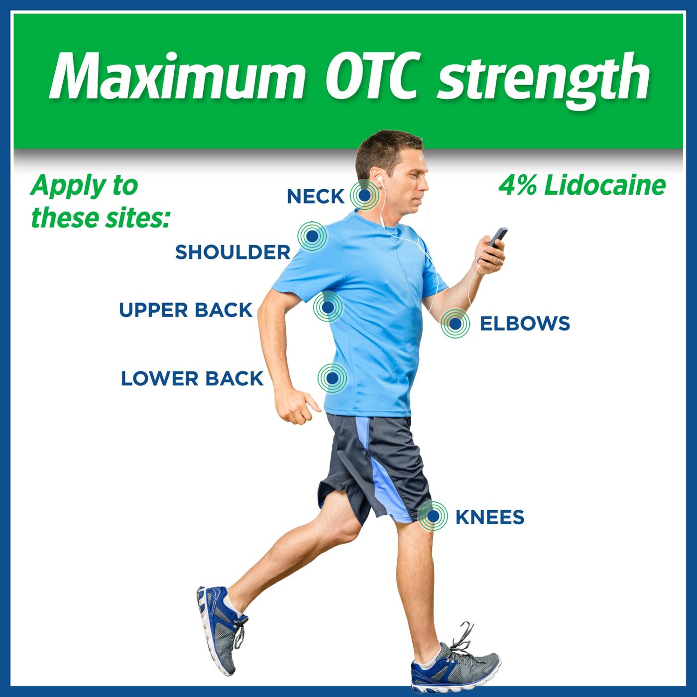 Salonpas Pain Relieving Flex Patch Maximum Strength - Shop Muscle ...