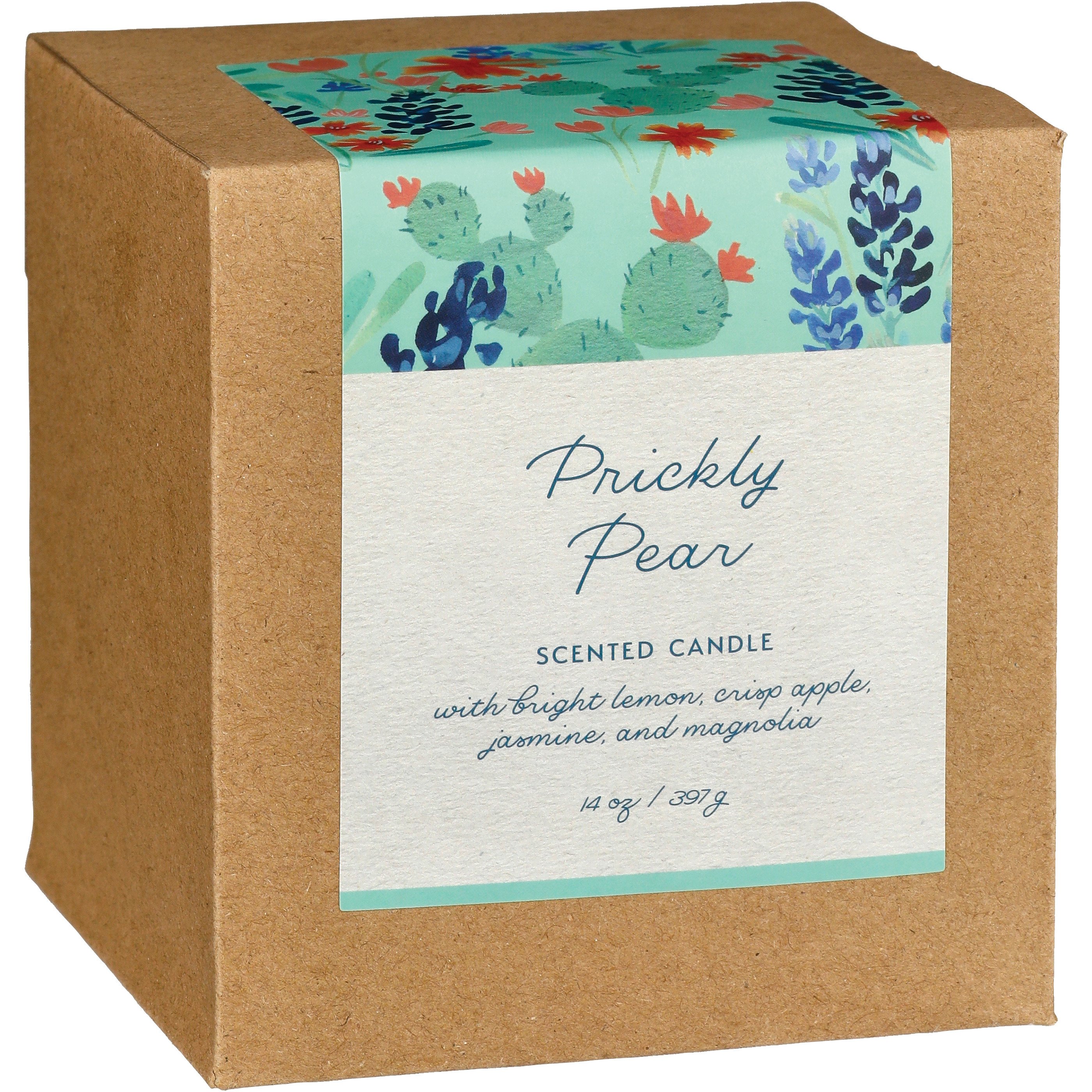Destination Holiday Prickly Pear Scented Boxed Candle - Shop Candles at ...