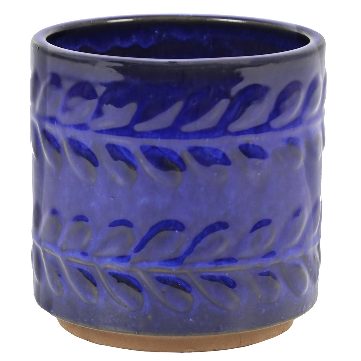 Deroma Triton Succulent Glazed Terracotta Planter - Blue - Shop Pots ...