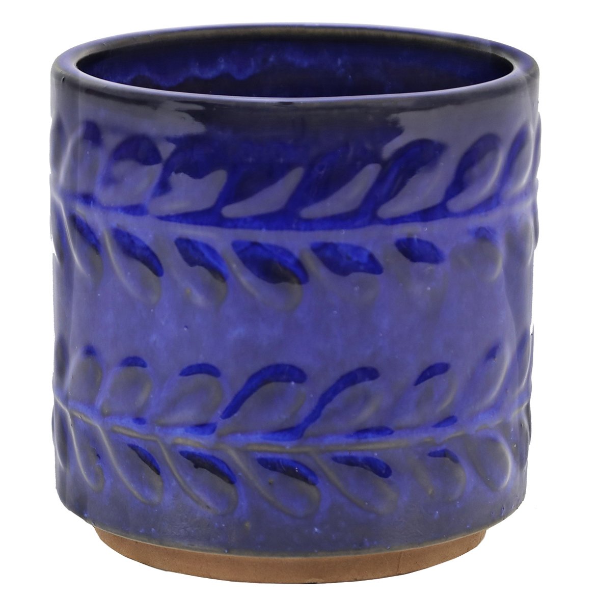 Deroma Triton Succulent Glazed Terracotta Planter - Blue - Shop Pots ...