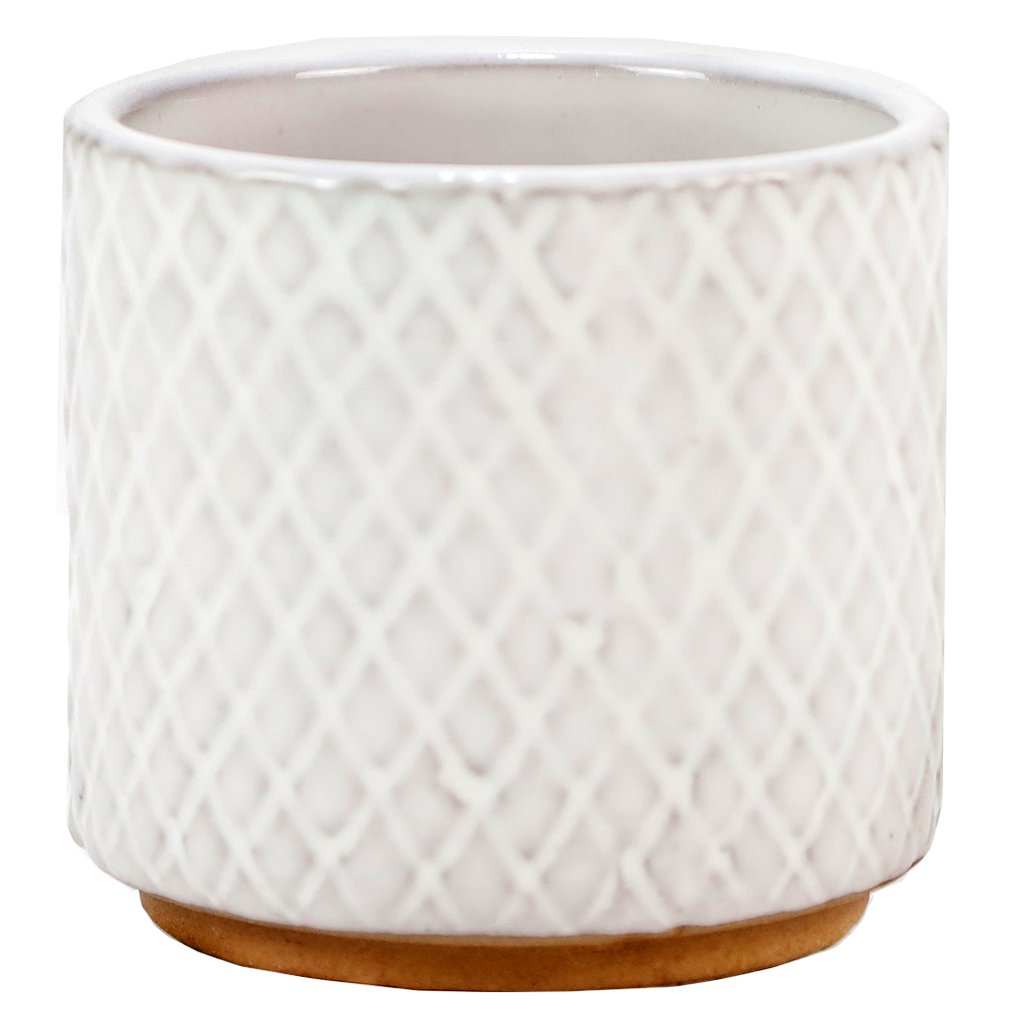 Deroma Namaka Succulent Glazed Terracotta Planter - White - Shop Pots ...