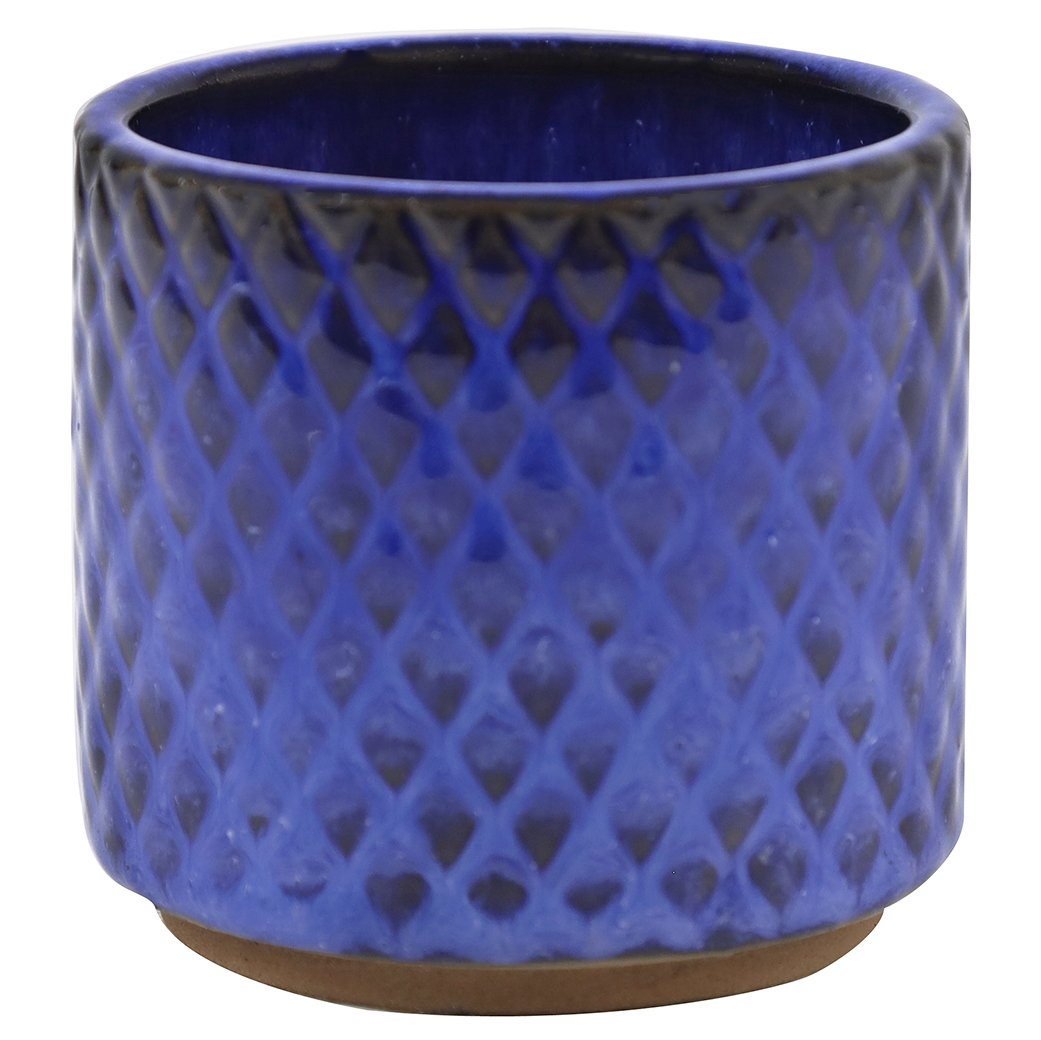 Deroma Namaka Succulent Glazed Terracotta Planter - Blue - Shop Pots ...