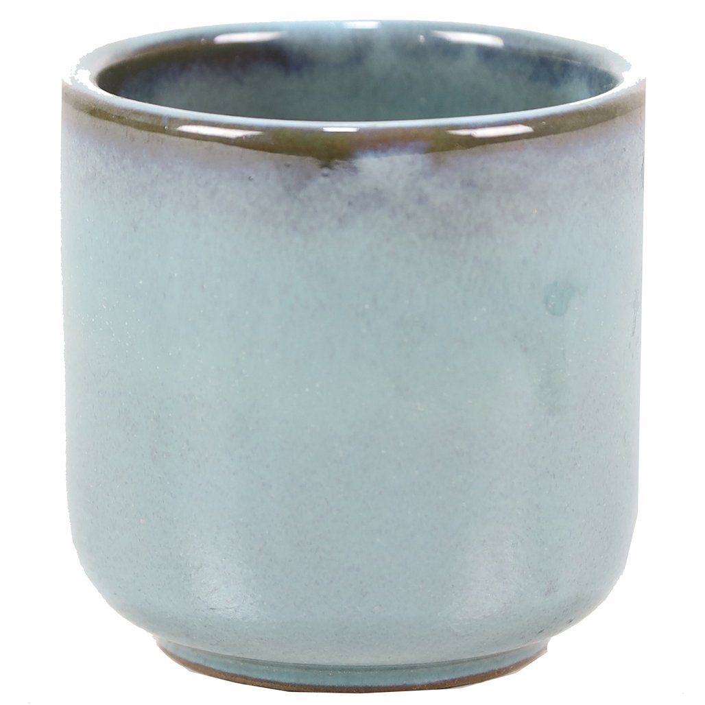 Deroma Luna Succulent Glazed Terracotta Planter - Green - Shop Pots ...