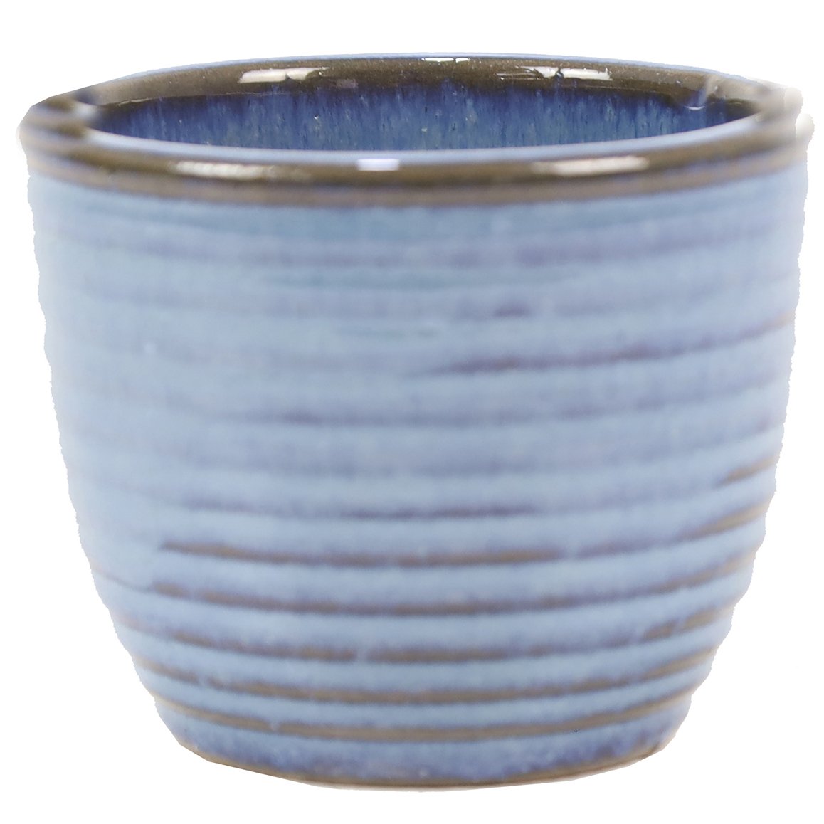 Deroma Orcus Succulent Glazed Terracotta Planter - Blue - Shop Pots ...
