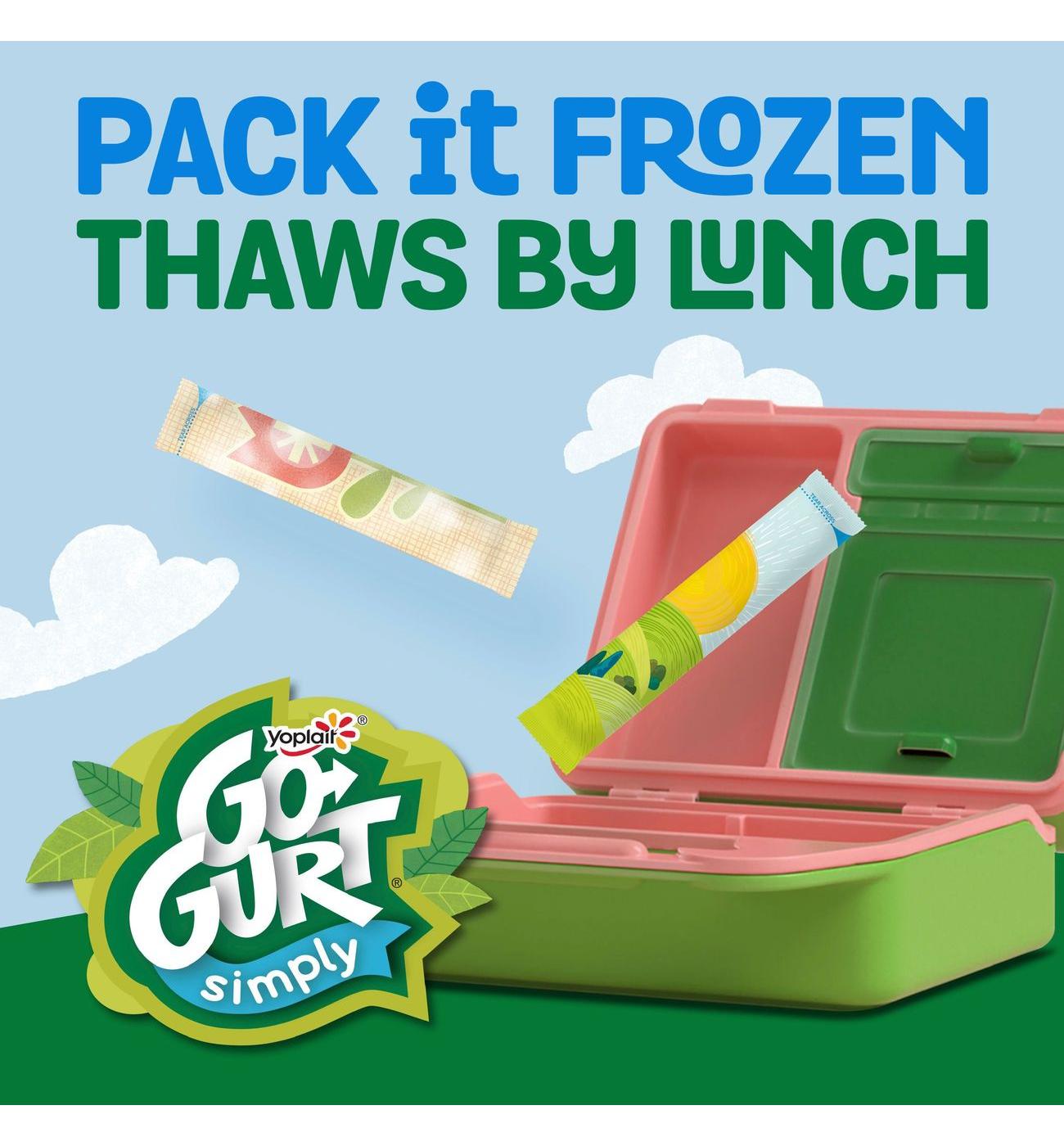 Yoplait Simply GoGurt Low Fat Strawberry and Mixed Berry Yogurt Tubes - Shop Yogurt at H-E-B