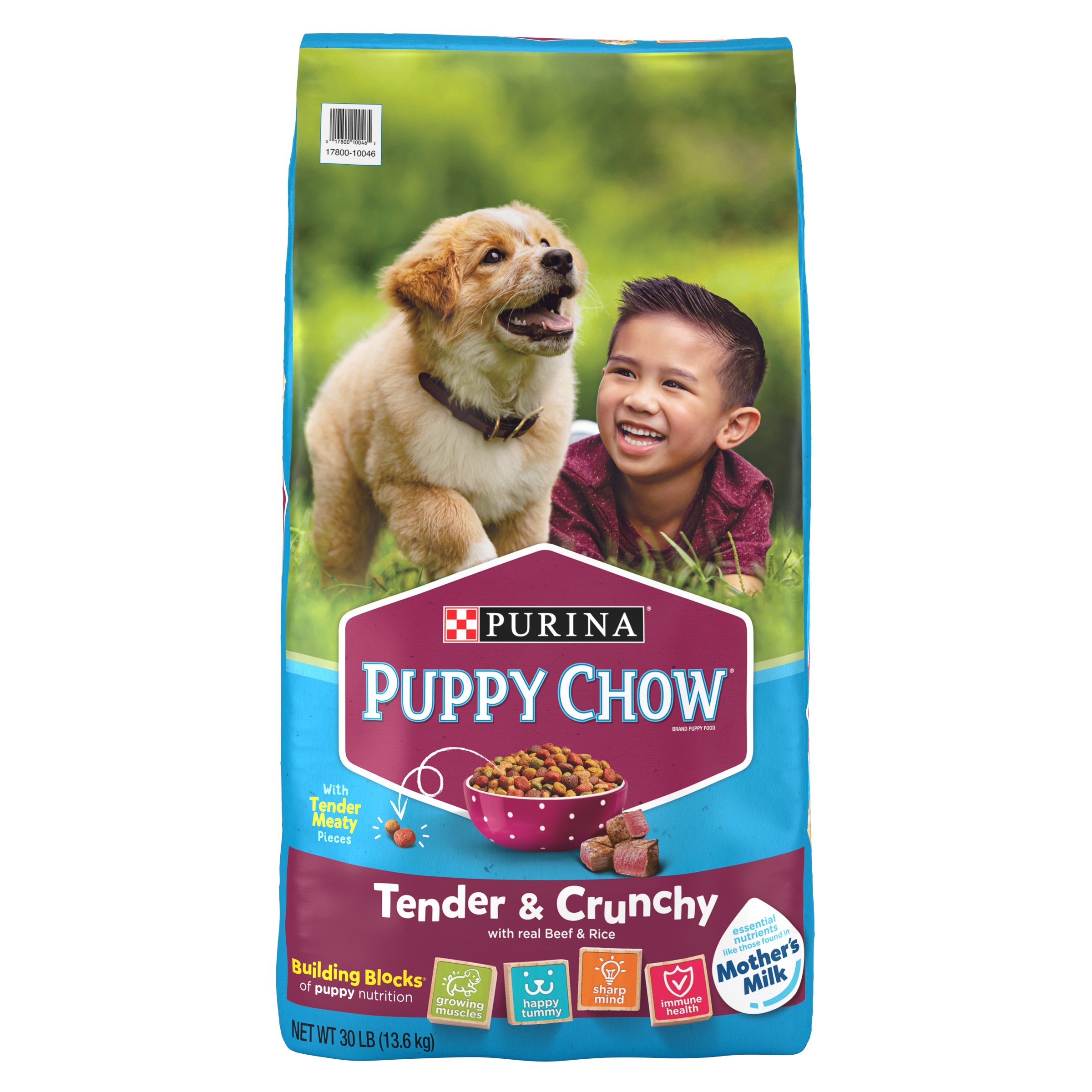 Puppy Chow Tender & Crunchy Beef and Rice Dry Puppy Food - Shop Food at ...