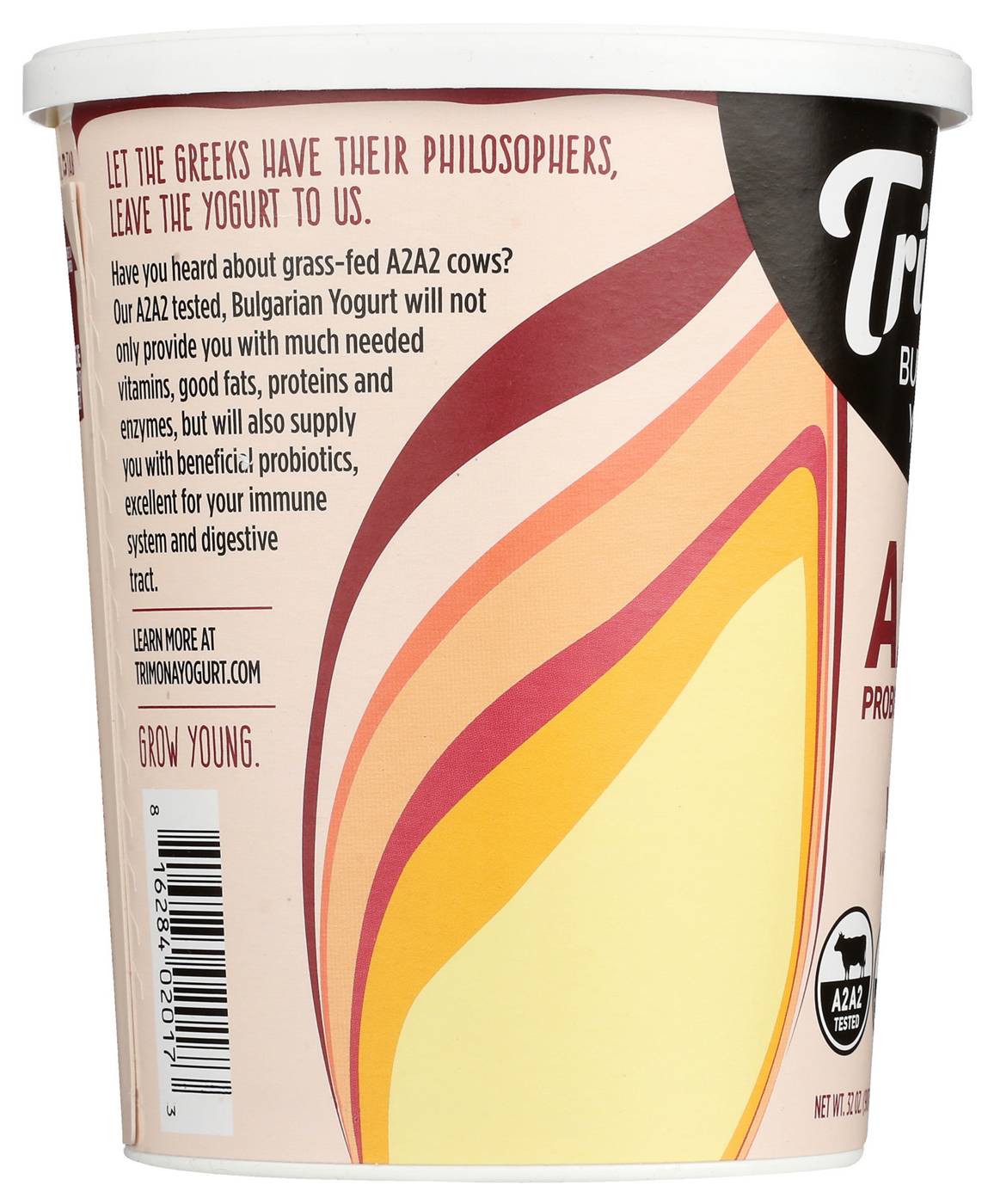 Trimona Whole Milk Bulgarian Yogurt - Vanilla - Shop Yogurt at H-E-B