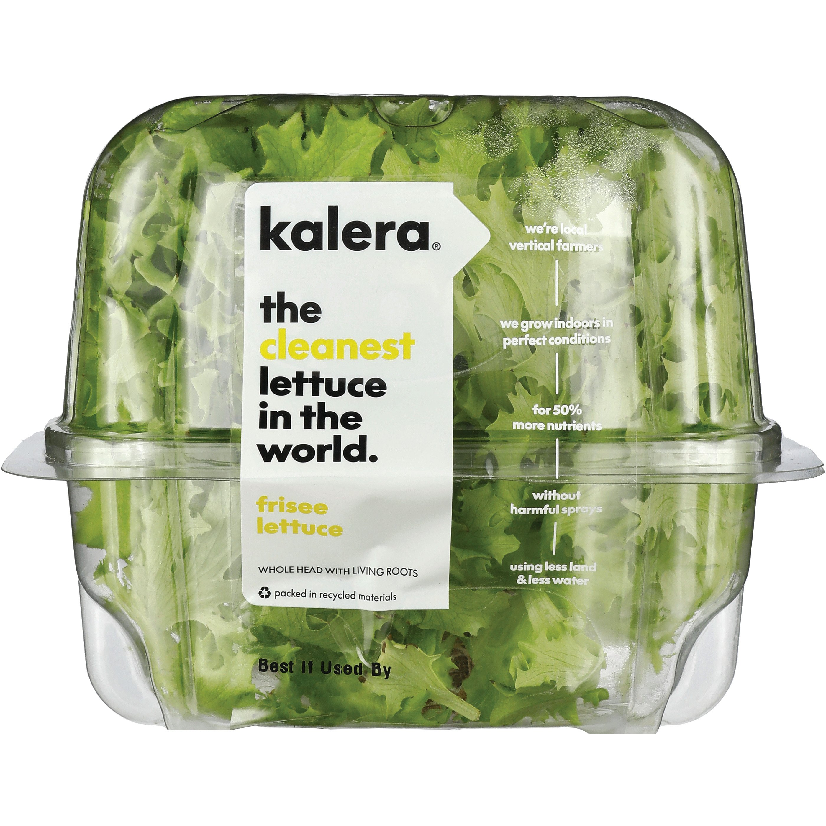 Kalera Frisee Lettuce - Shop Lettuce & leafy greens at H-E-B