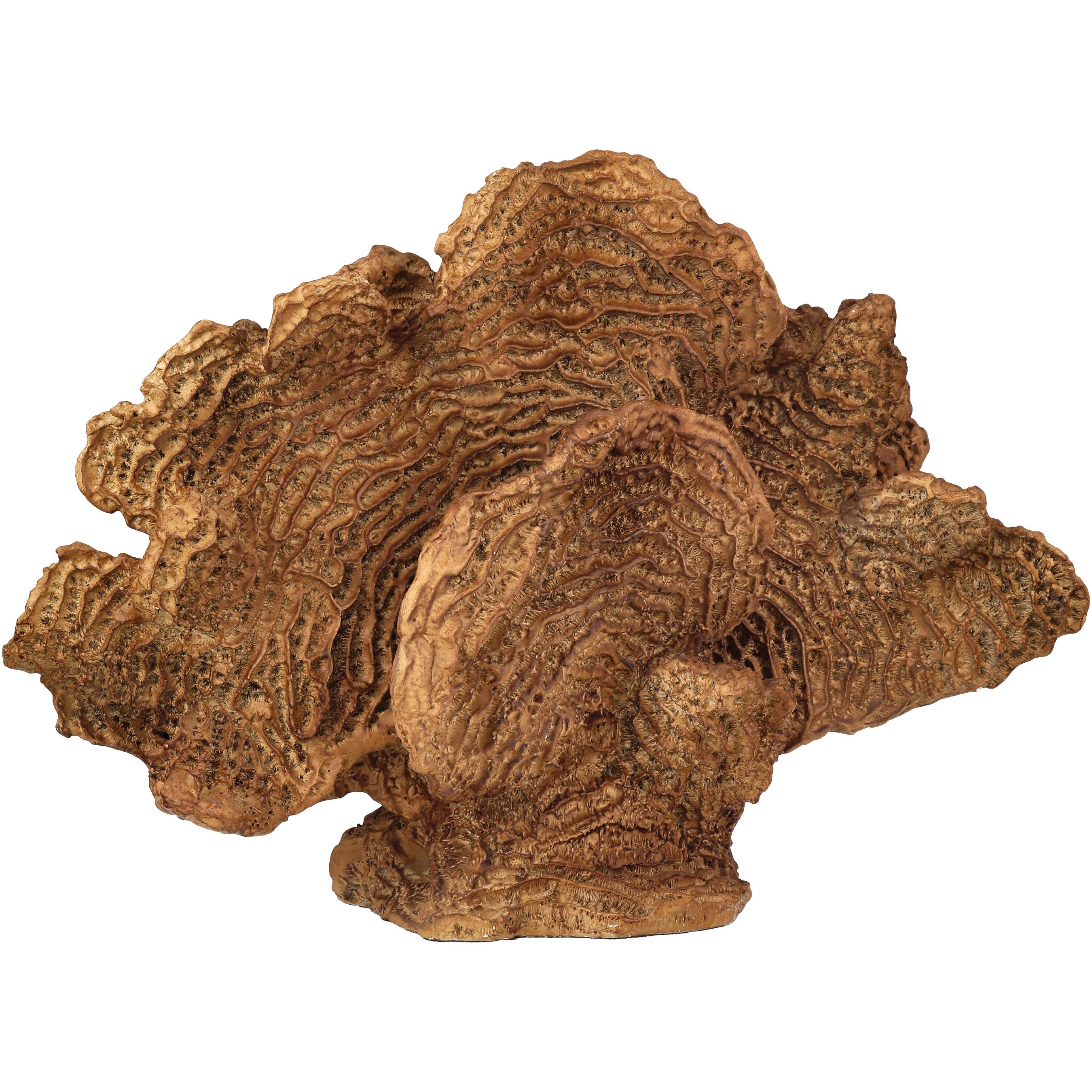 Haven + Key Tabletop Resin Coral Sculpture - Shop Seasonal decor at H-E-B