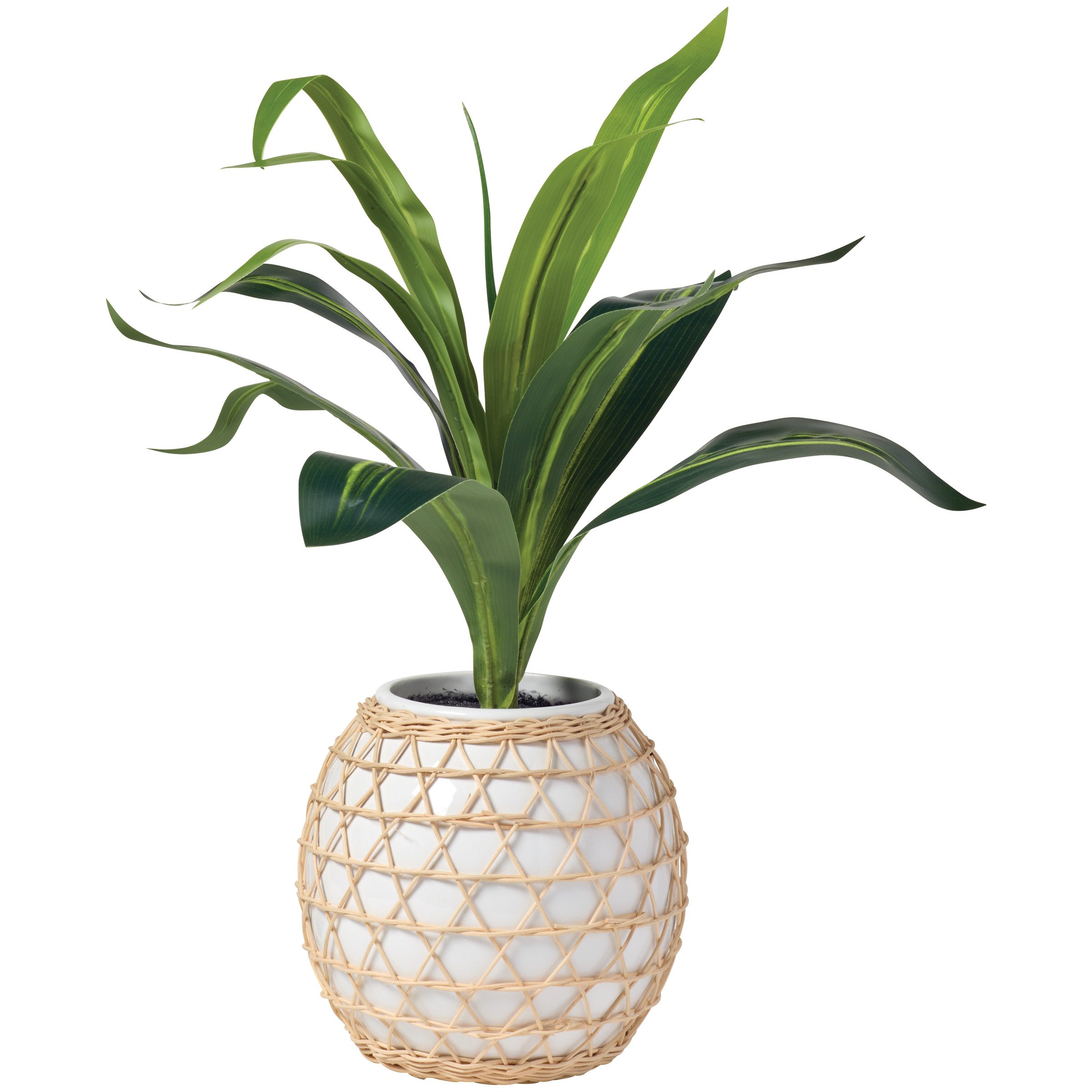 Destination Holiday Woven Summer Planter with Faux Plant - Shop ...