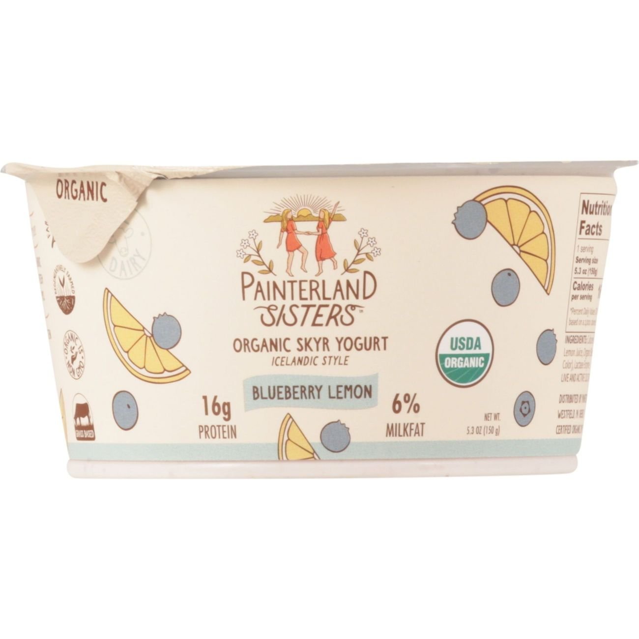 Painterland Sisters Organic Blueberry Lemon Icelandic Style Skyr - Shop ...