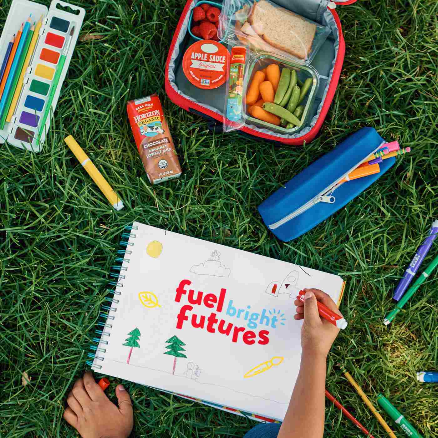 Horizon Organic Low Moisture Part-Skim Mozzarella String Cheese, 8 ct ...