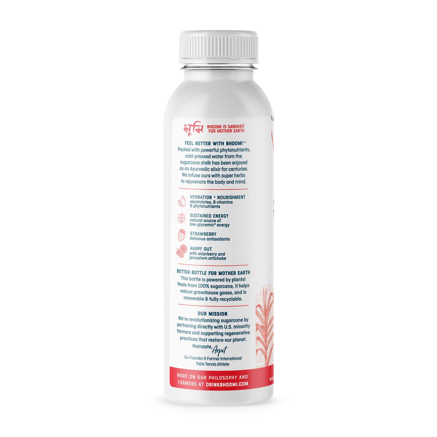 Bhoomi Strawberry - Happy Gut+ Cold-Pressed Cane Water Elixir - Shop ...