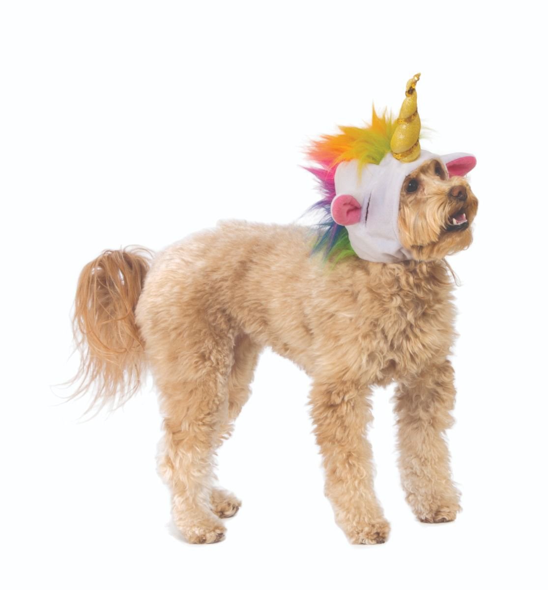 Rubie's Costume Pet Unicorn Hood - S/M - Shop Clothes at H-E-B