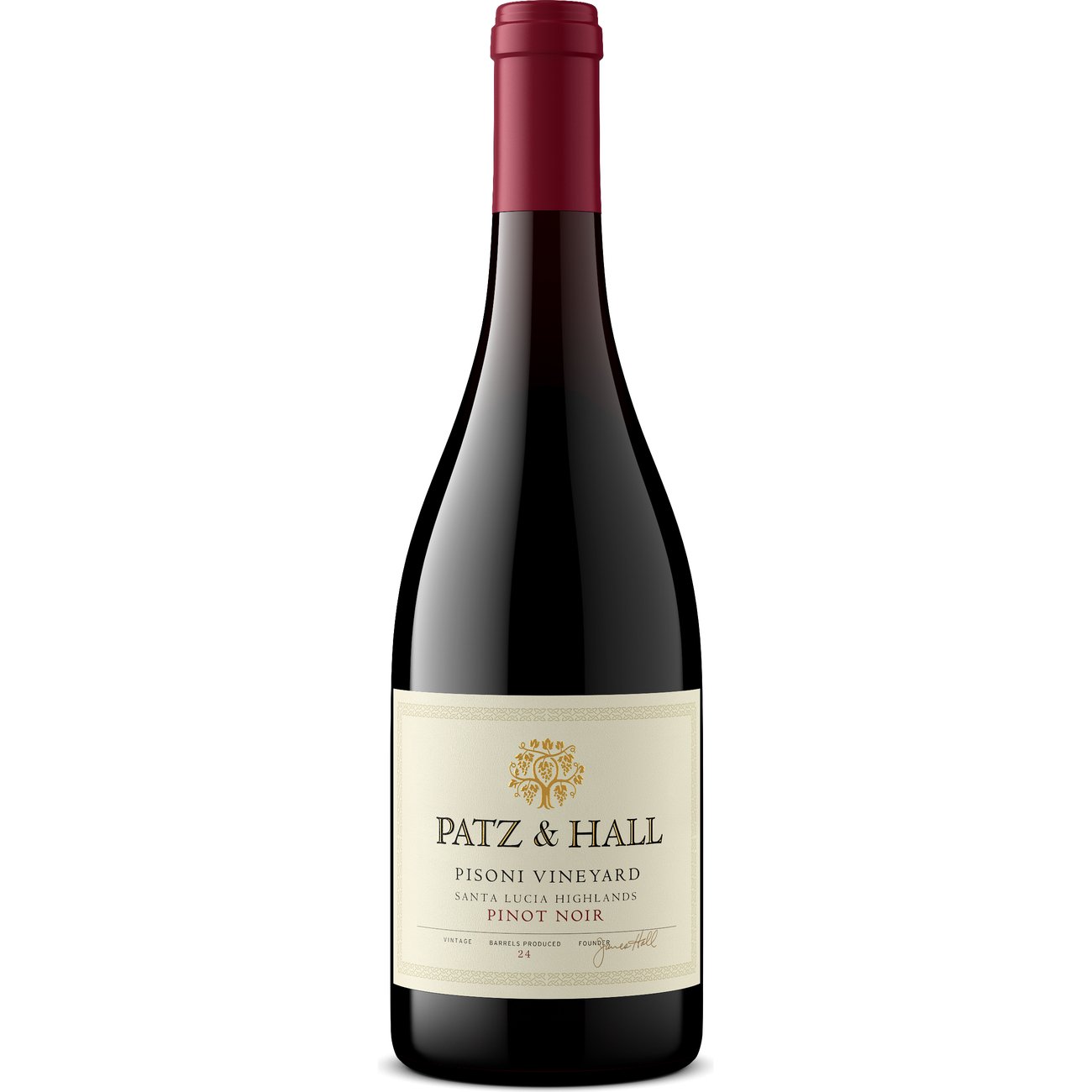 Patz & Hall Pisoni Vineyard Pinot Noir California Red Wine - Shop Wine ...