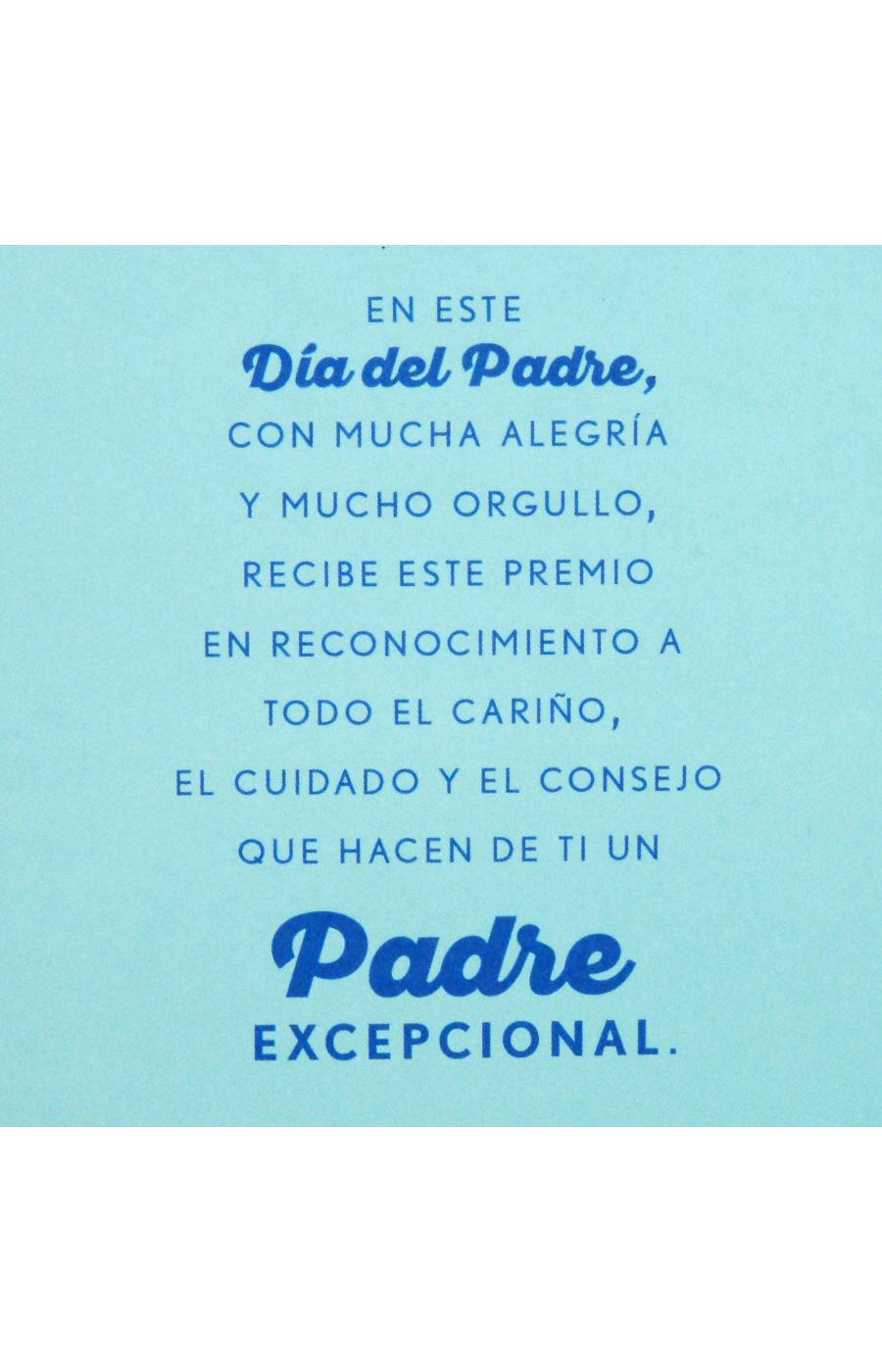 Hallmark VIDA Spanish Father's Day Card with Sound & Ribbon Badge (Papá ...