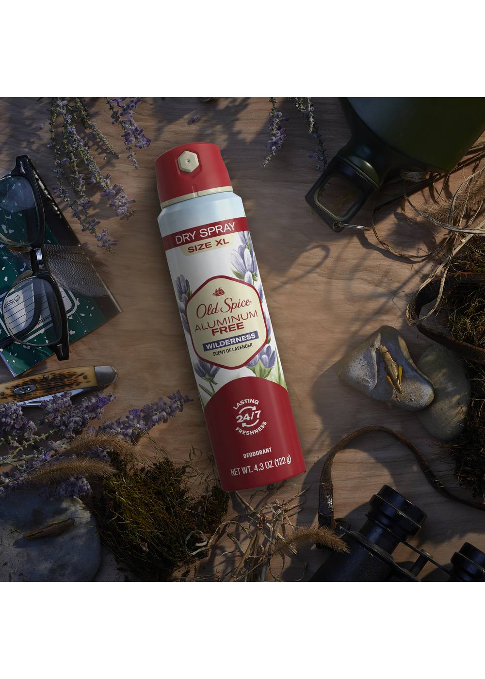 Old Spice Dry Spray Deodorant - Wilderness - Shop Deodorant ...