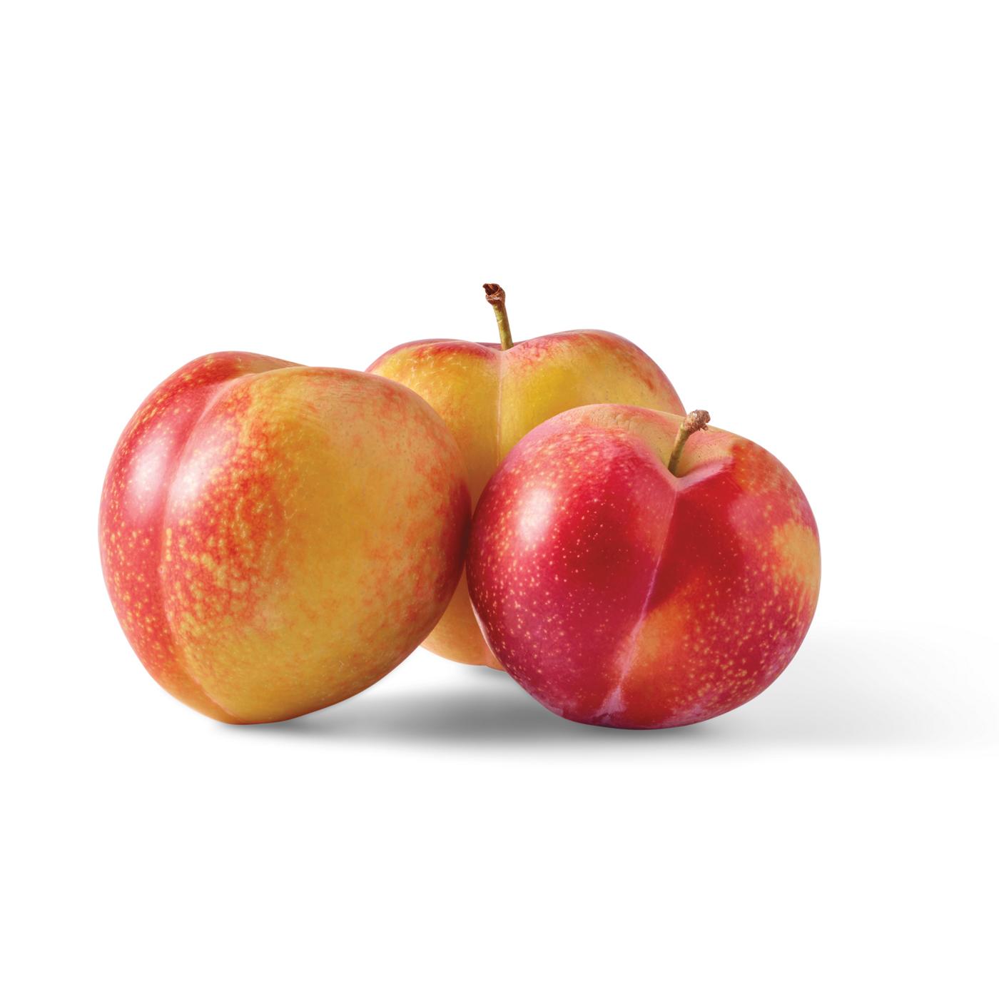 H-E-B Fresh Premium Marigold Plums - Shop Peaches, plums & apricots at ...