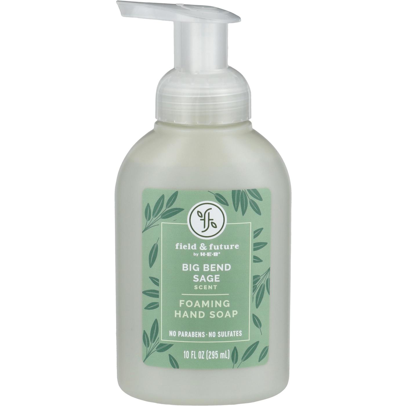 Field & Future by H-E-B Foaming Hand Soap - Big Bend Sage - Shop Hand ...