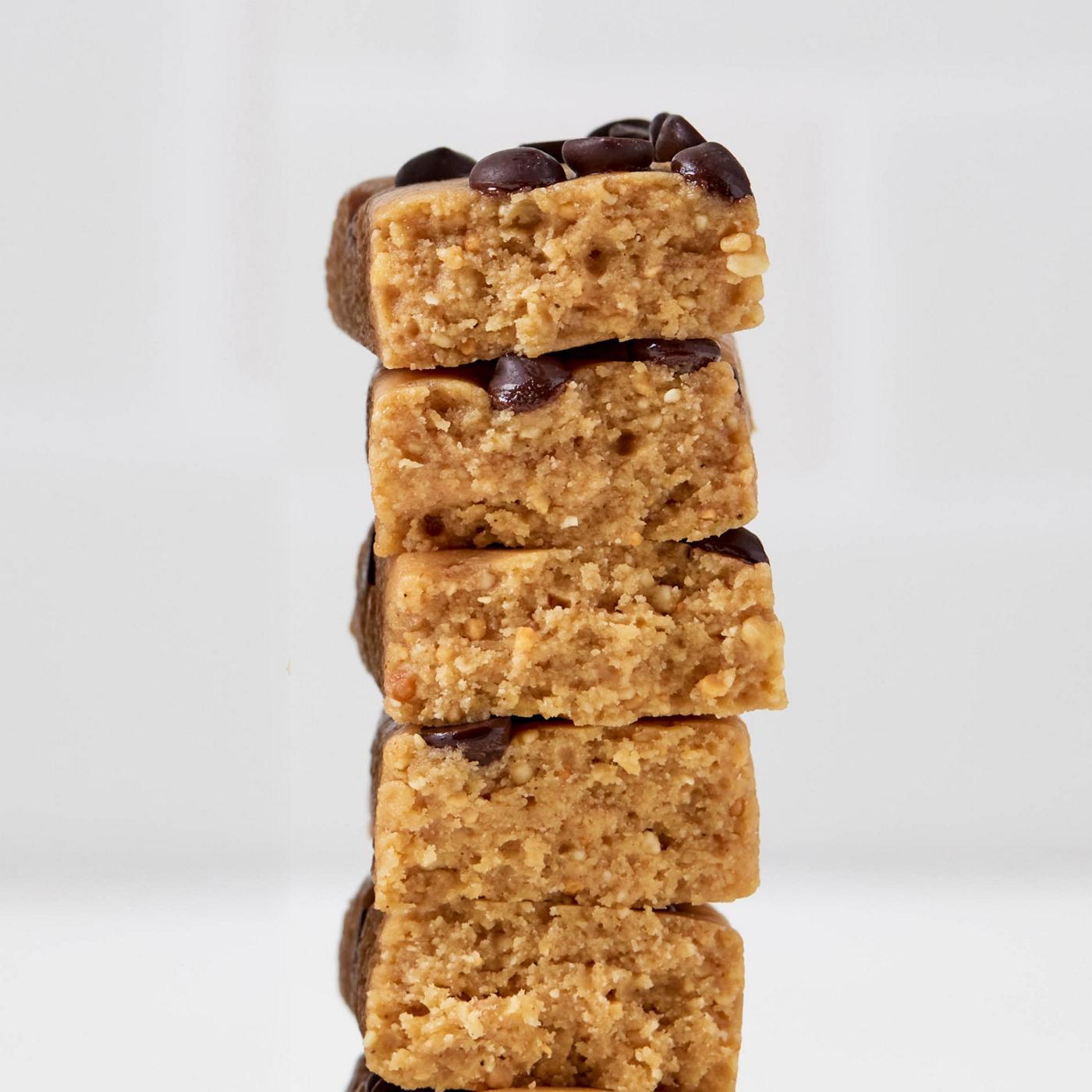 Perfect Bar Snack Size 6g Protein Bars - Dark Chocolate Chip Peanut ...