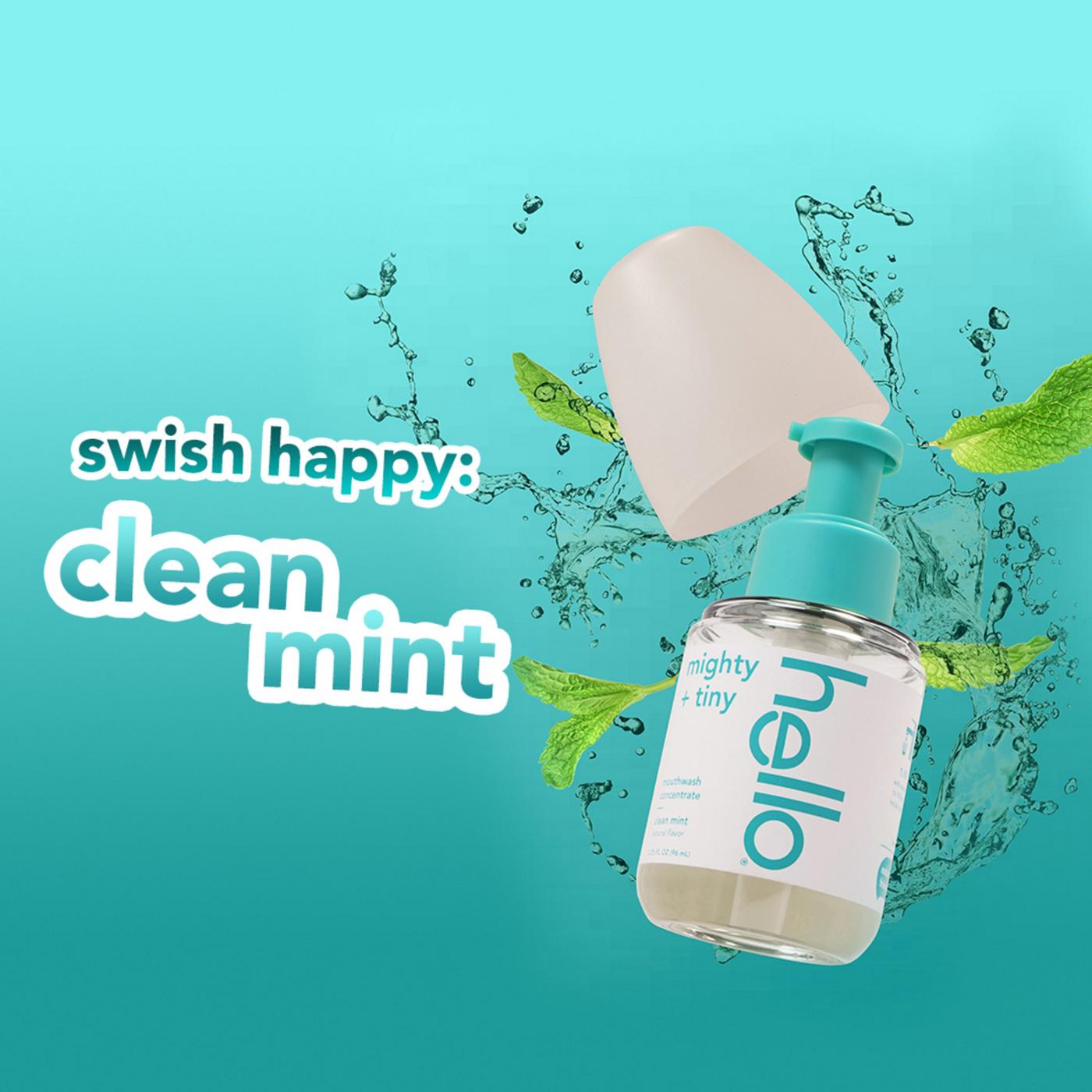 Hello Mighty & Tiny Mouthwash Concentrate Clean Mint - Shop Mouthwash ...